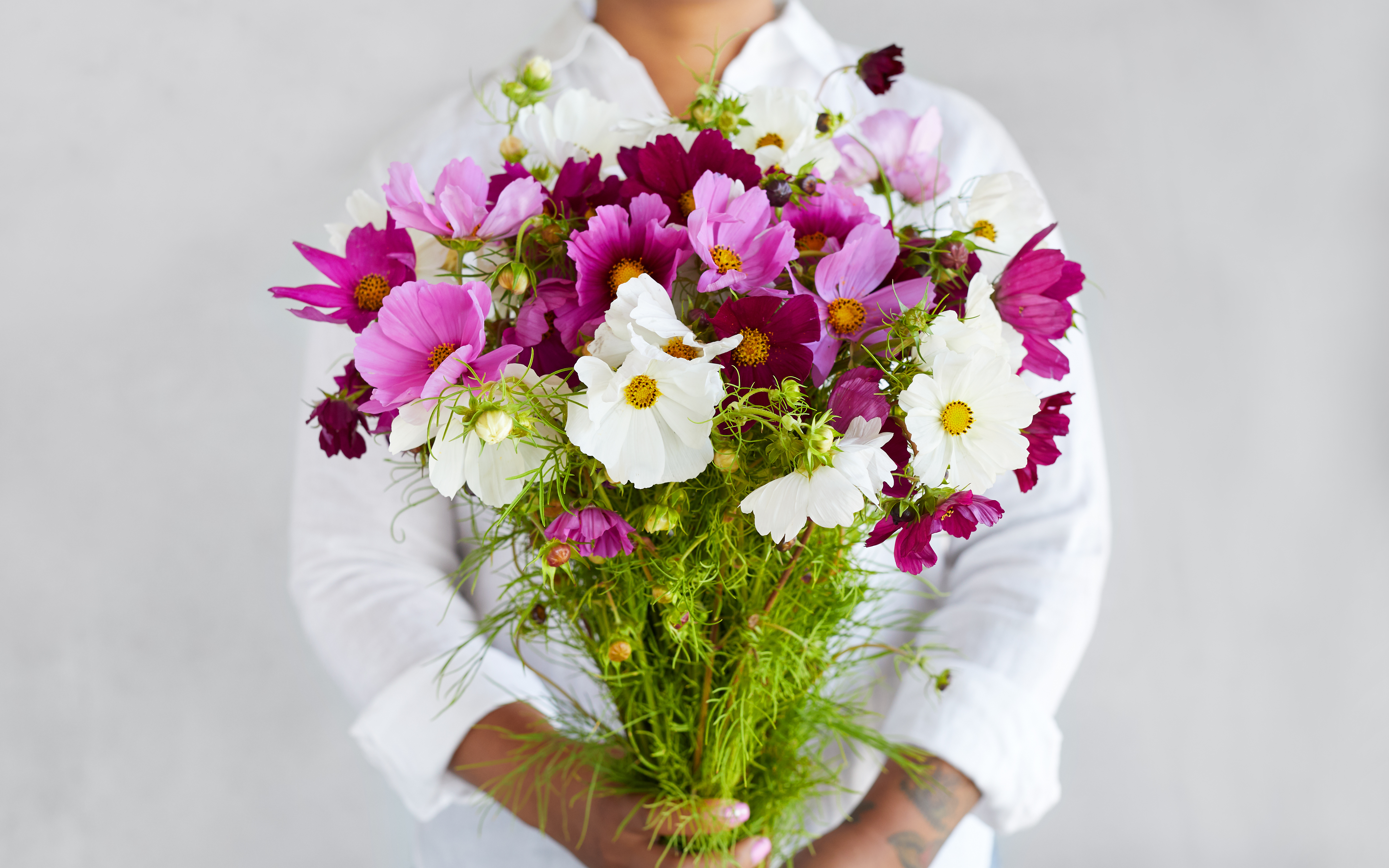 Cosmos | 1 bunch | Oak Hill Farm of Sonoma | Good Eggs