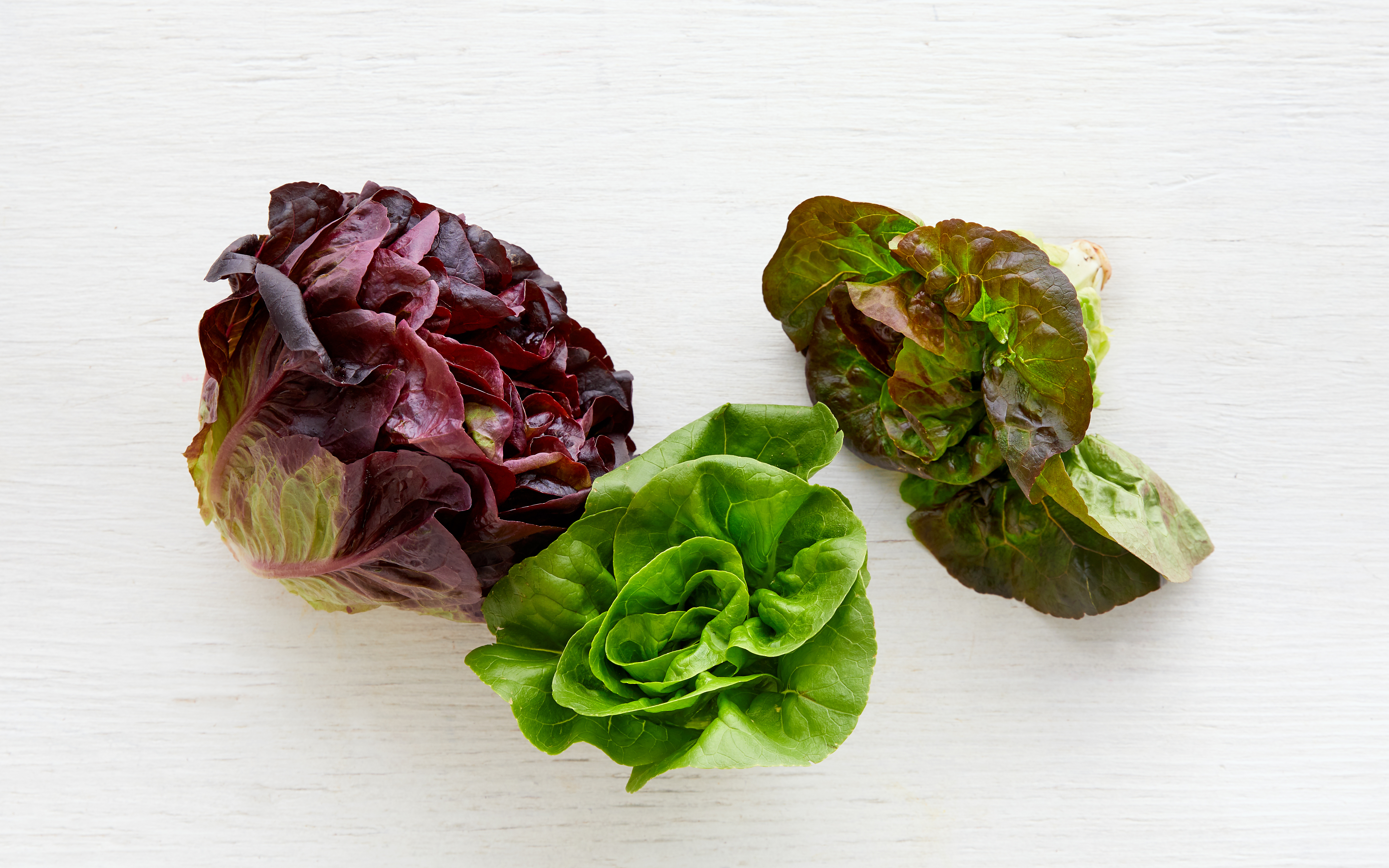 Organic Mixed Baby Lettuce Trio | 3 count | Coke Farms | Good Eggs