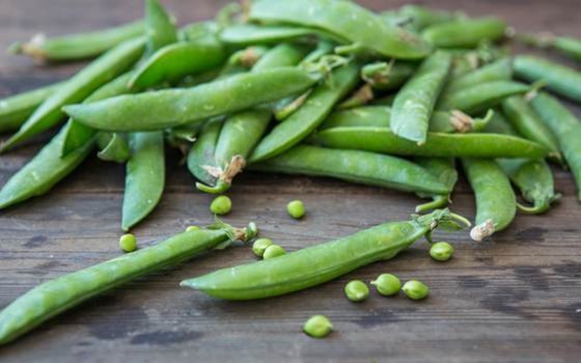 Organic English Shelling Peas | 1 lb | Say Hay Farms | Good Eggs