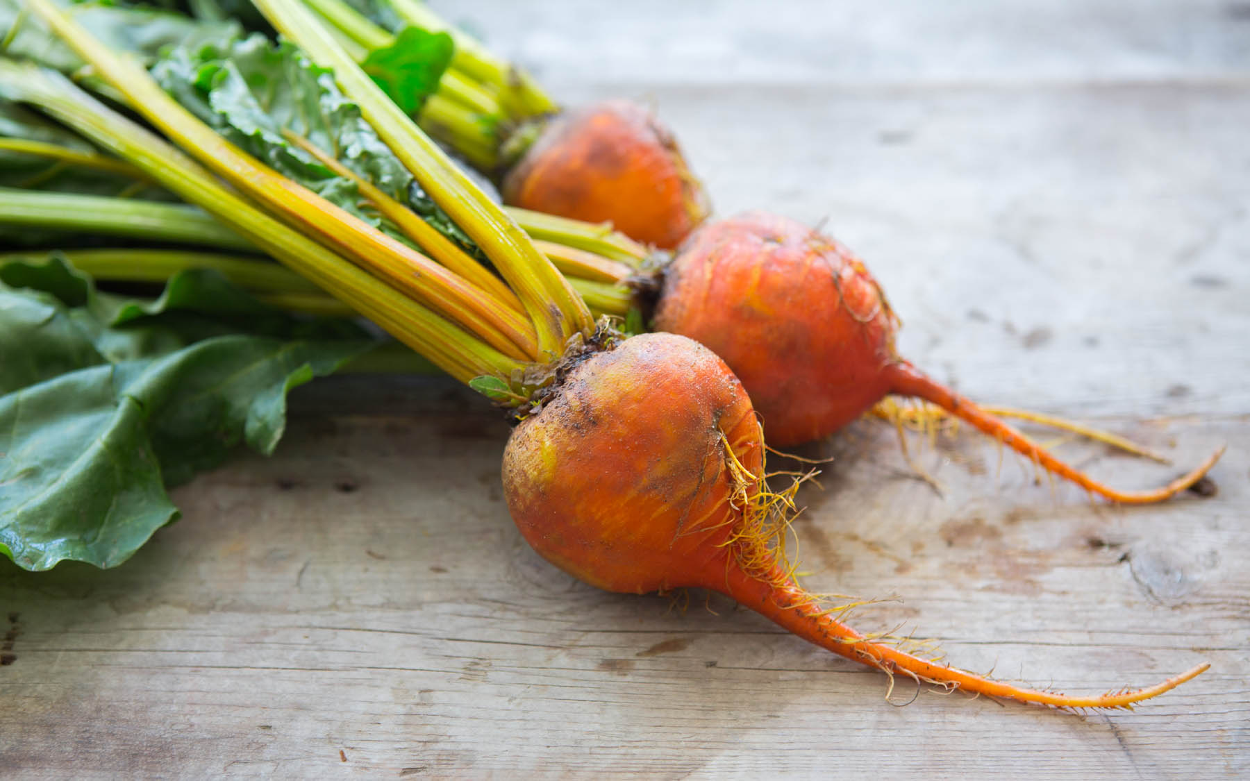 Organic Bunched Gold Beets | 1 bunch | Oya Organics | Good Eggs