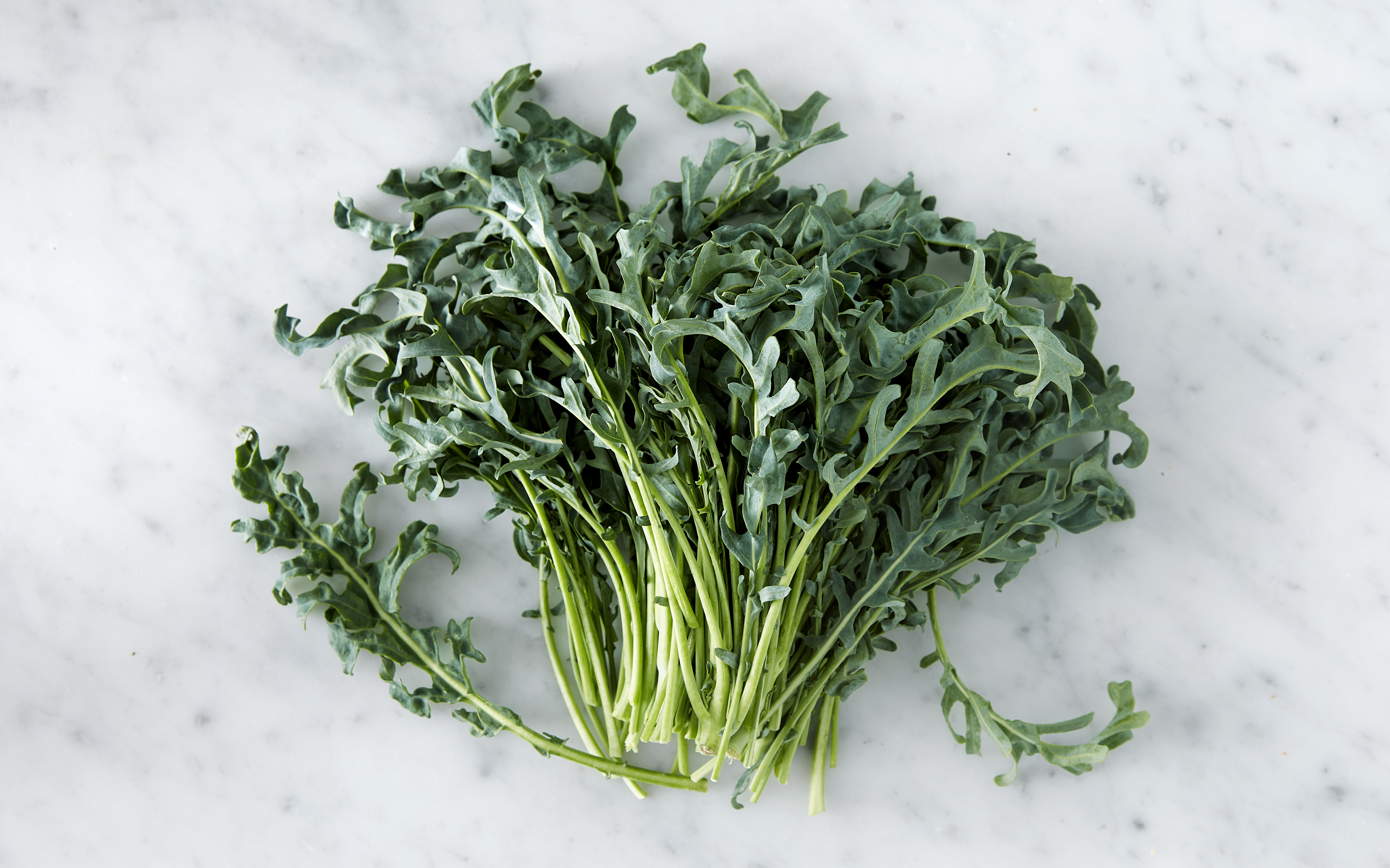 Organic Spigarello Riccia Trio | 3 bunch | County Line Harvest | Good Eggs