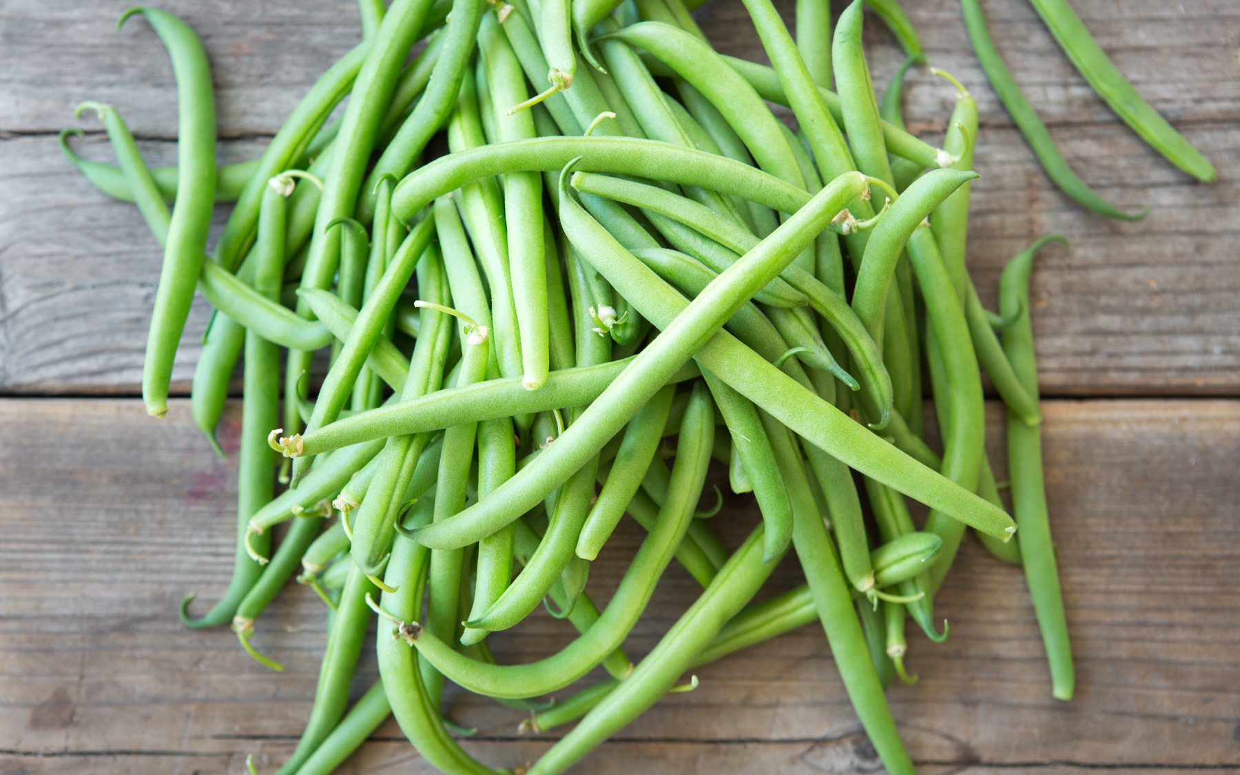 Organic Green Beans | 1 lb | Terra Firma Farm | Good Eggs