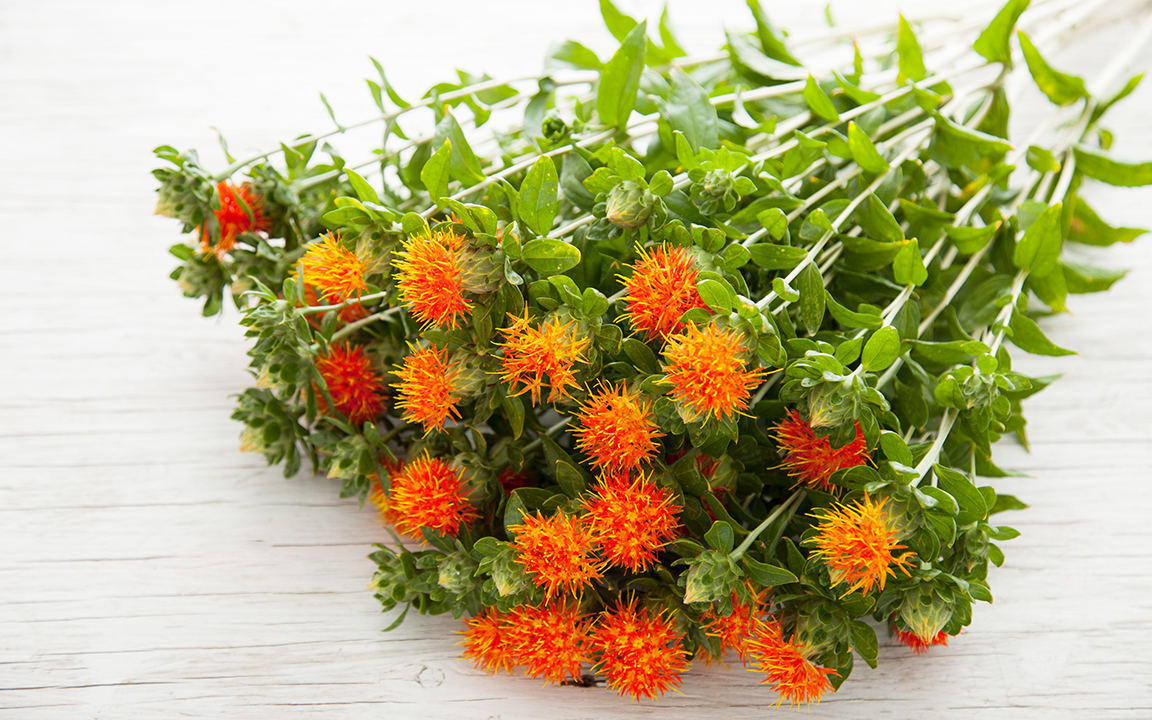 Safflower | 1 bunch | Oak Hill Farm of Sonoma | Good Eggs