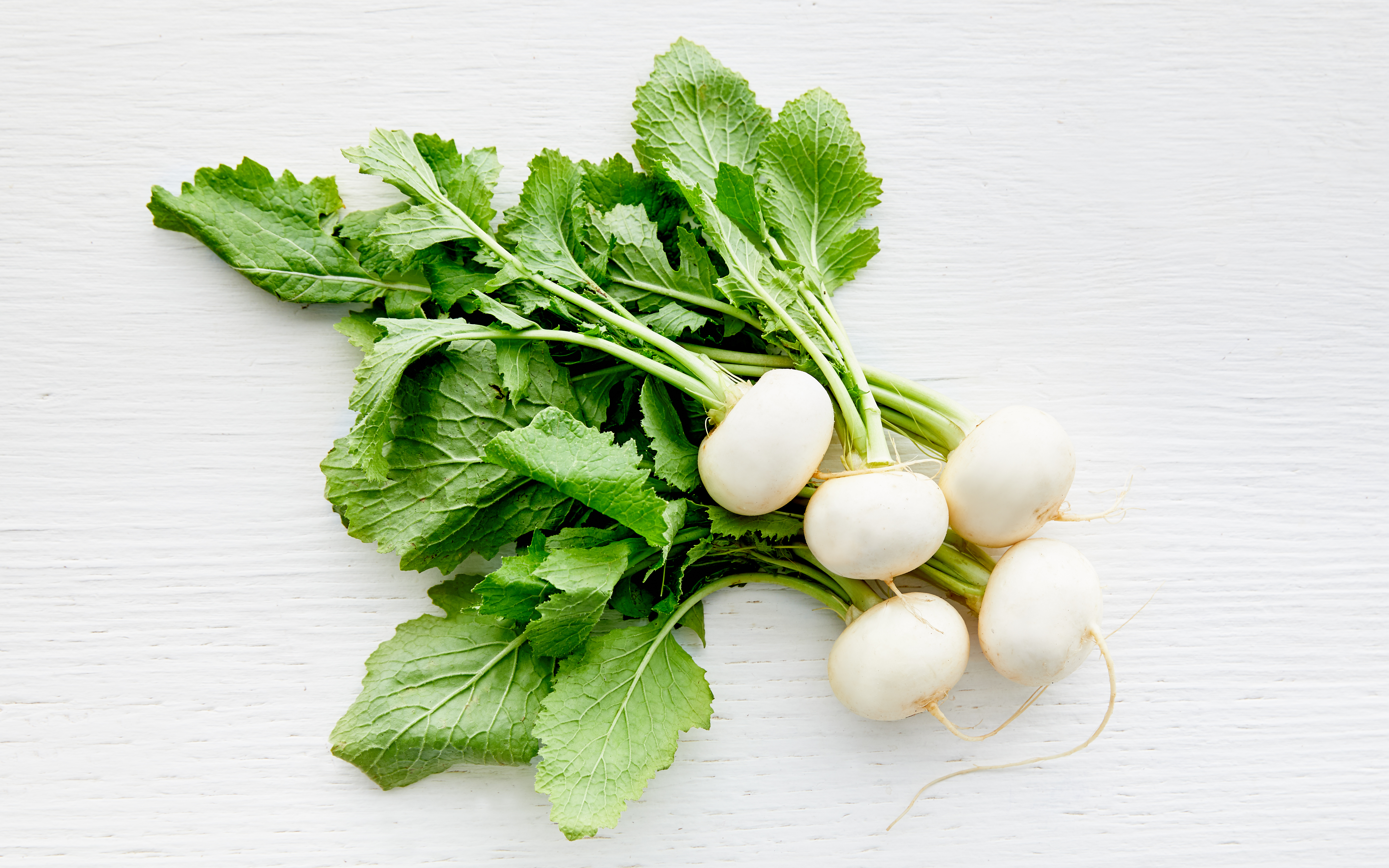 Organic Tokyo Turnips | 1 bunch | Blue House Farm | Good Eggs