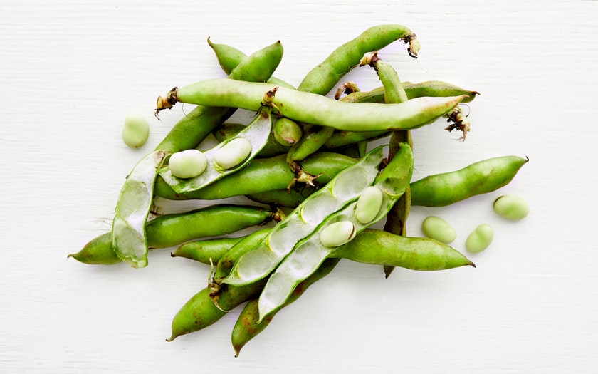 Organic Fava Beans | 1 lb | Rodoni Farms | Good Eggs