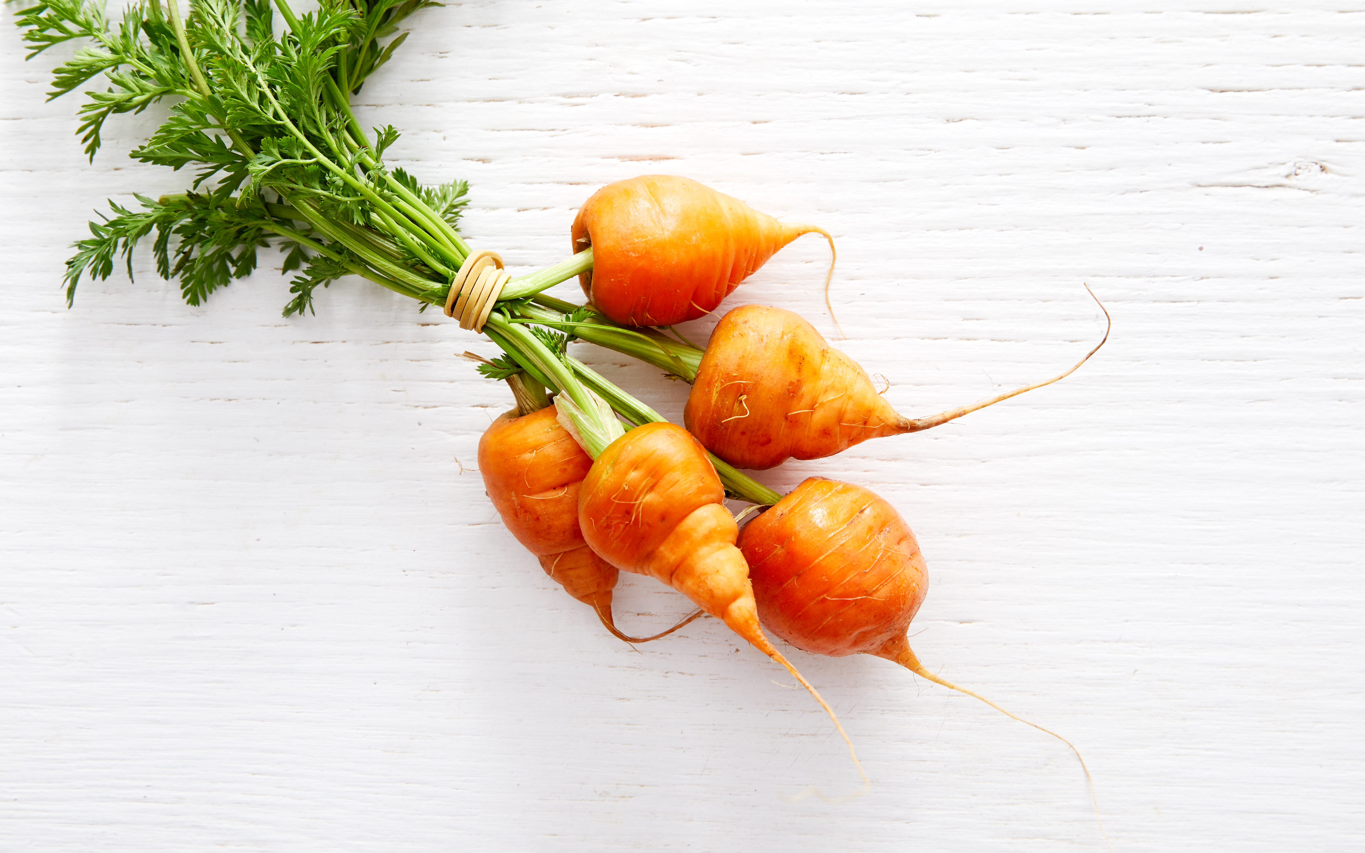 Organic Baby Thumbelina Carrots | 1 bunch | County Line Harvest | Good Eggs