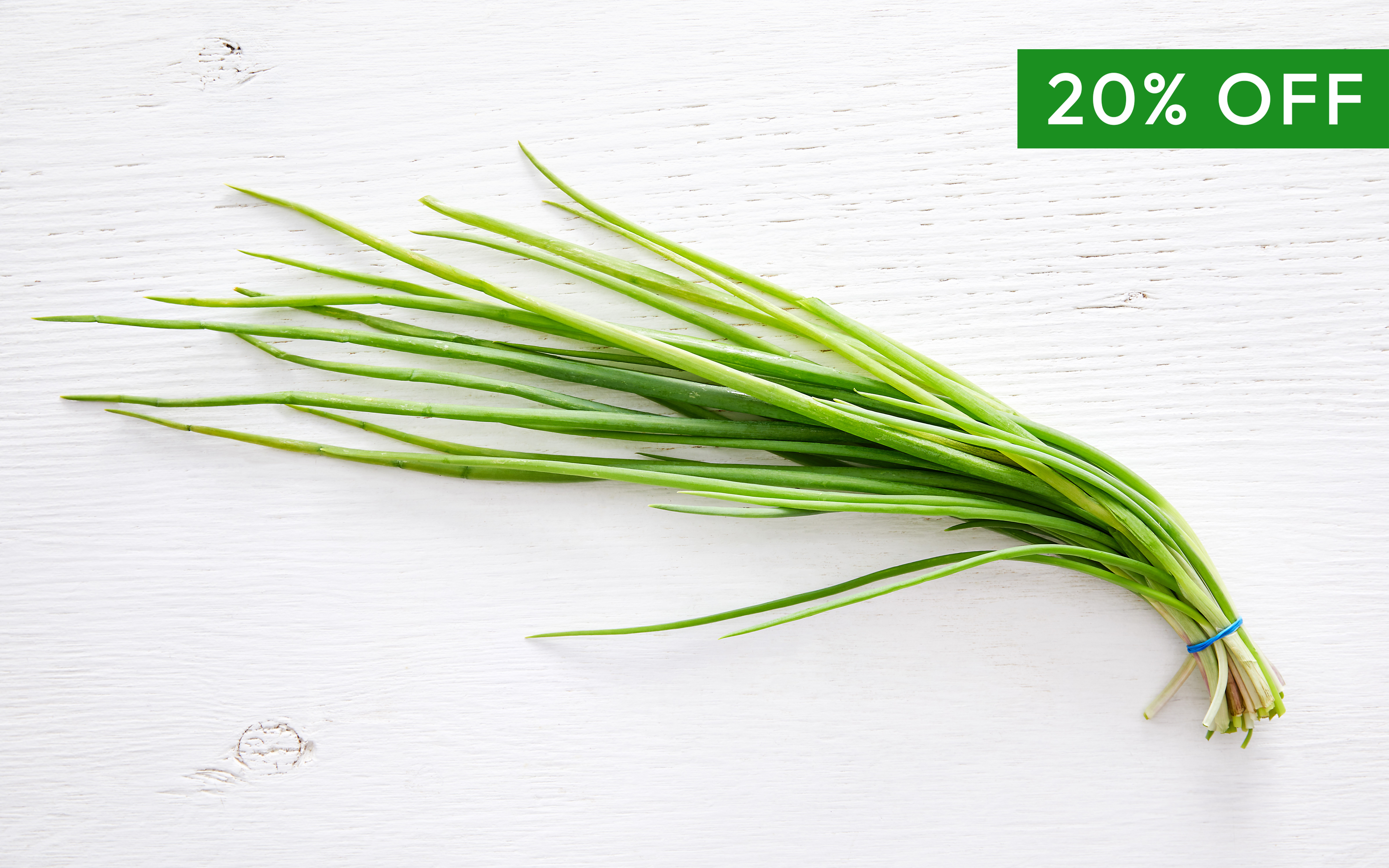 Organic Senmoto Negi Green Onion | 1 bunch | Hikari Farms | Good Eggs
