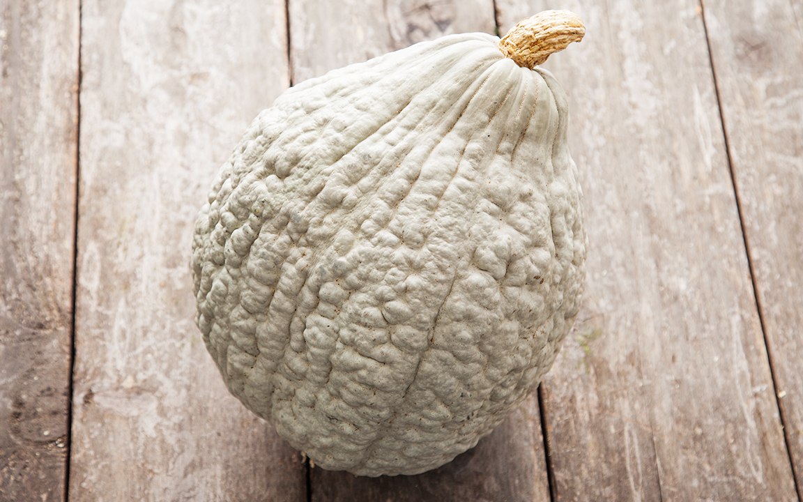 Giant Blue Hubbard Squash | 1 count | RobinSong Farms | Good Eggs