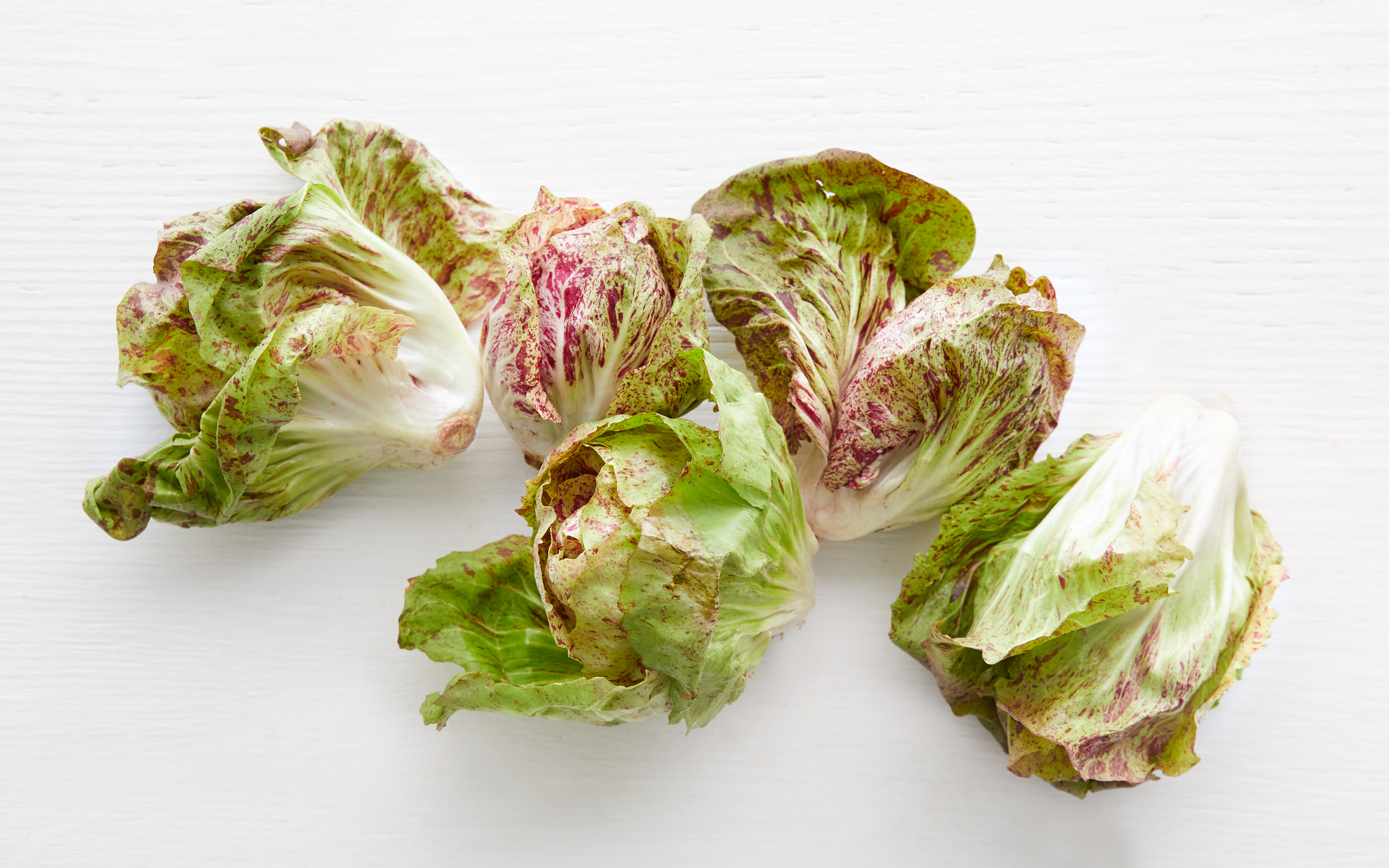 Organic Castelfranco Radicchio | 1 head | Lakeside Organic Gardens ...