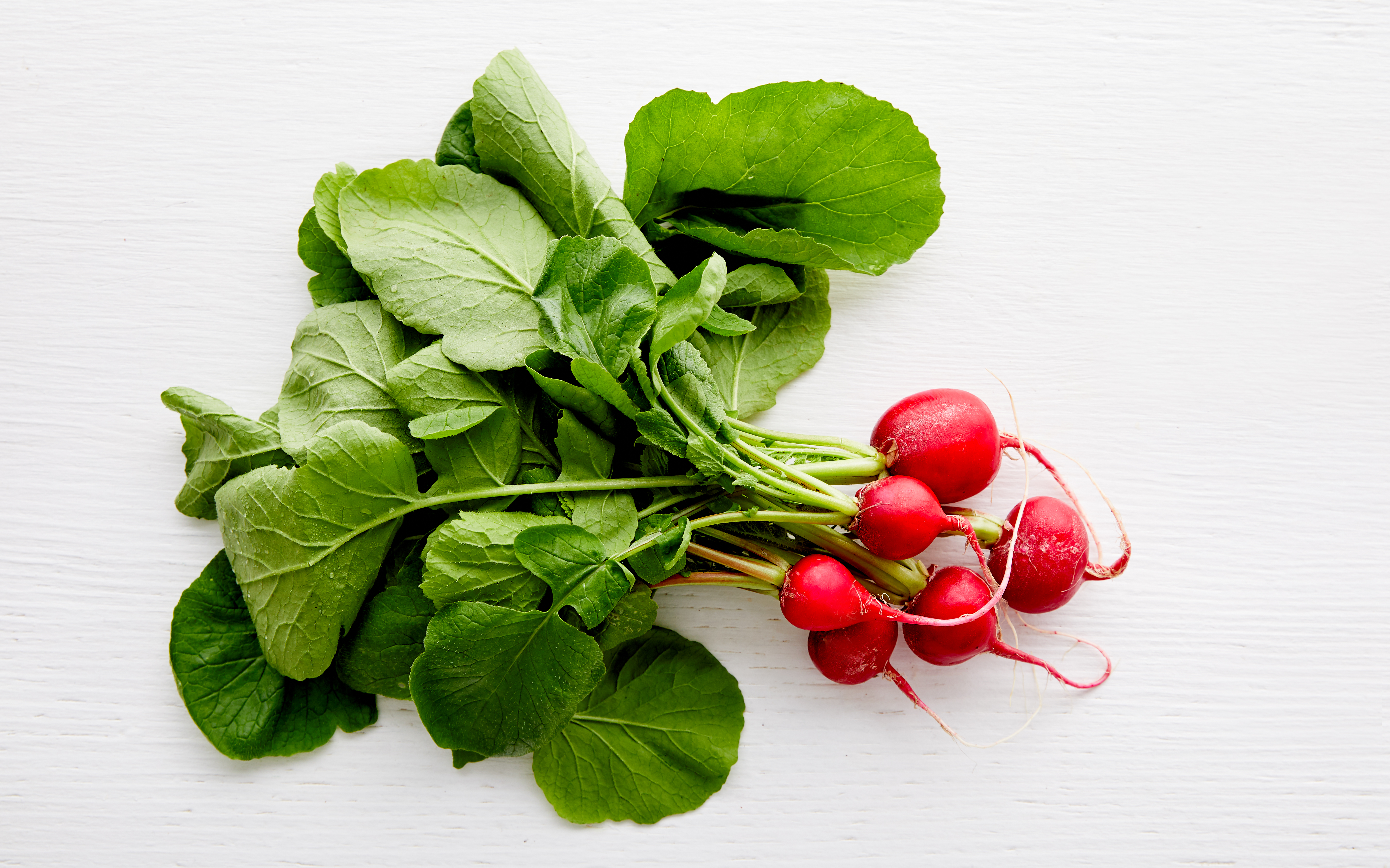 Organic Red Radishes | 1 bunch | Coke Farms | Good Eggs