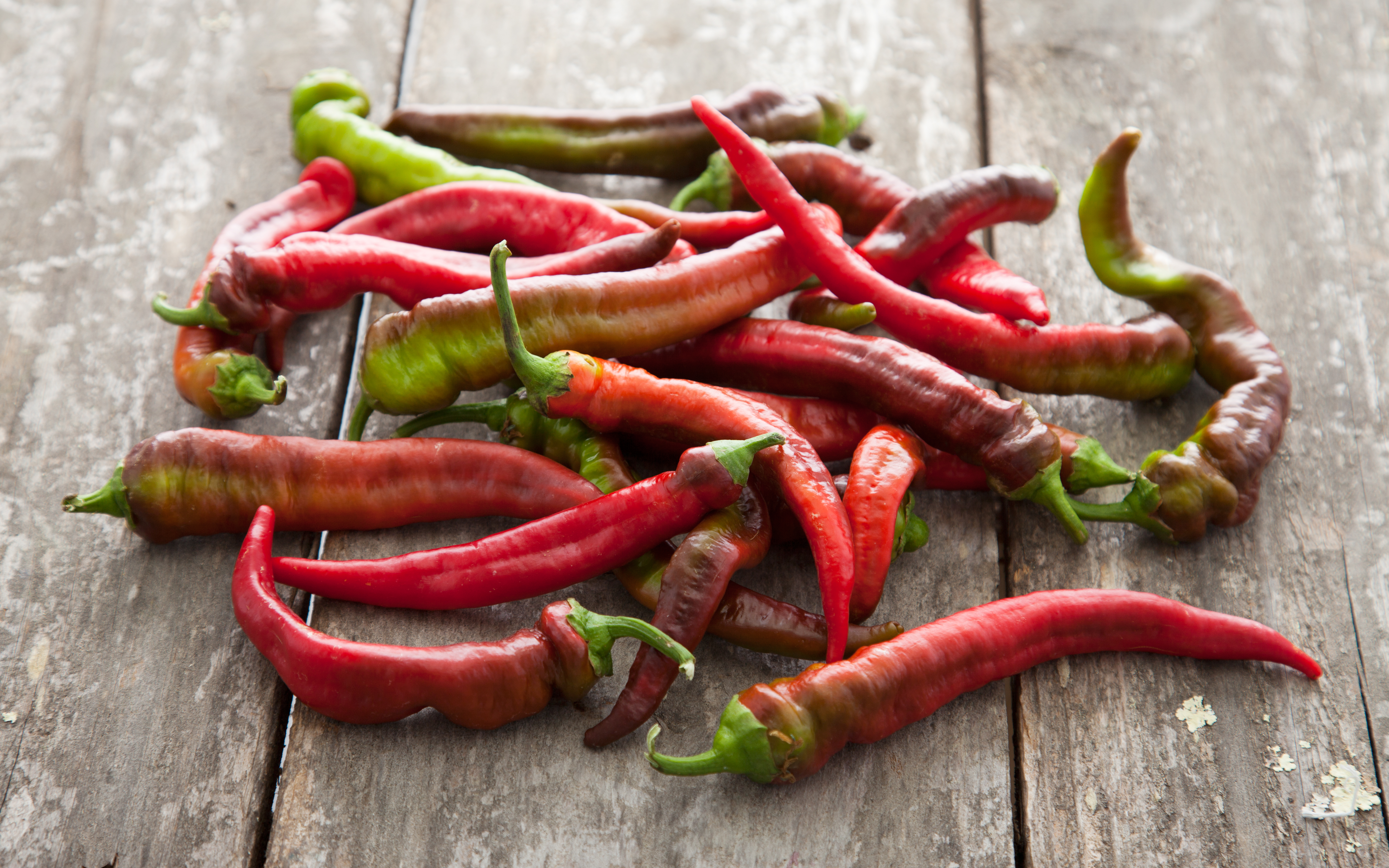 Organic Jimmy Nardello Peppers | 1 lb | Gauchito Hill Farm | Good Eggs