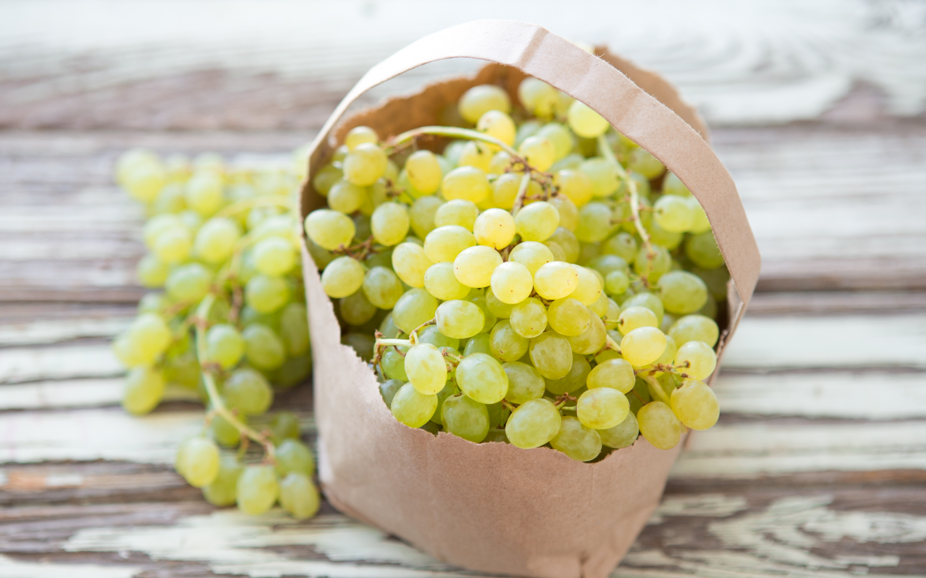 Organic Seedless Thompson Grapes | 1 lb | Veritable Vegetable | Good Eggs