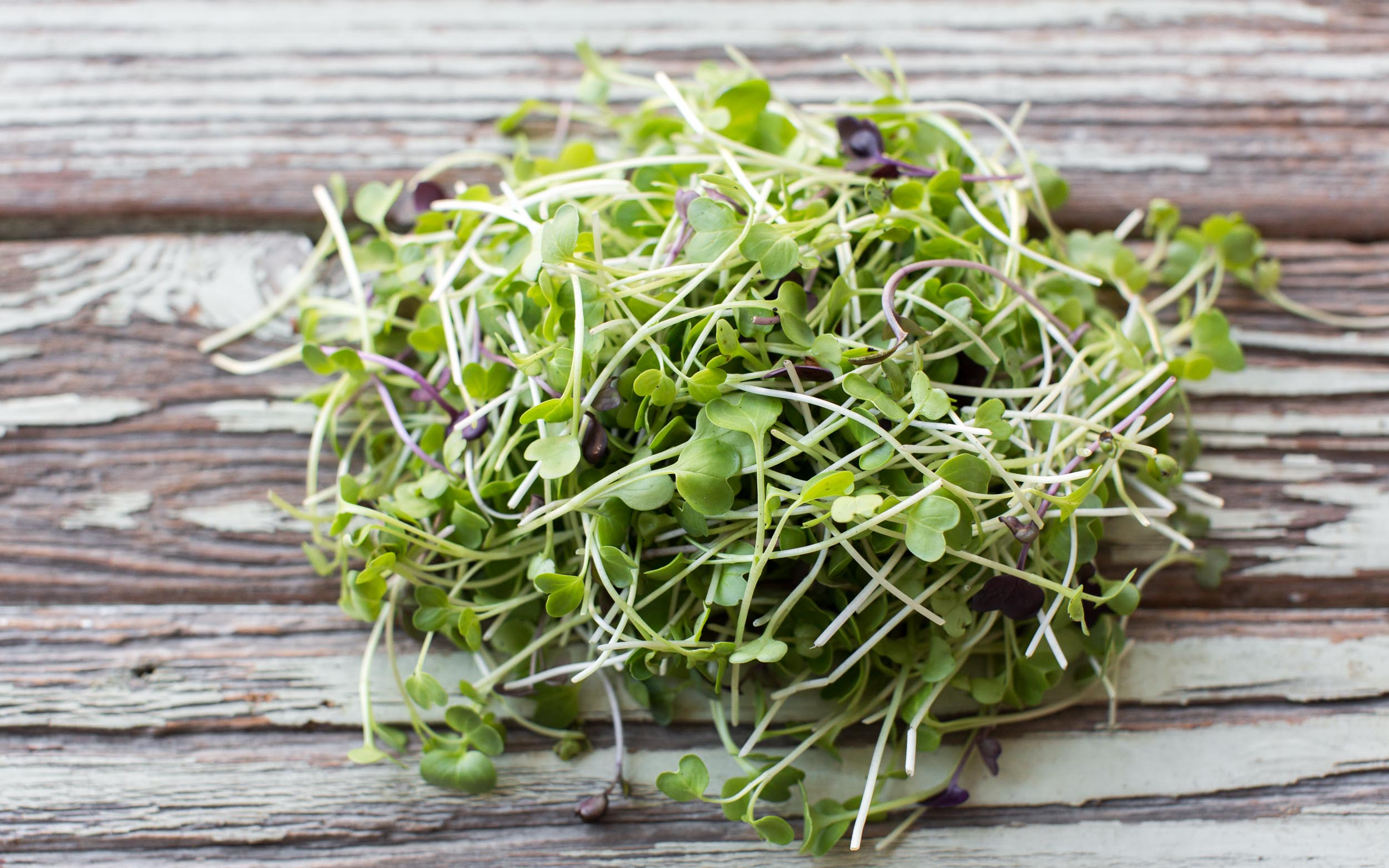 Organic Baby Radish Greens | 2 oz | Green Skies Vertical Farm | Good Eggs