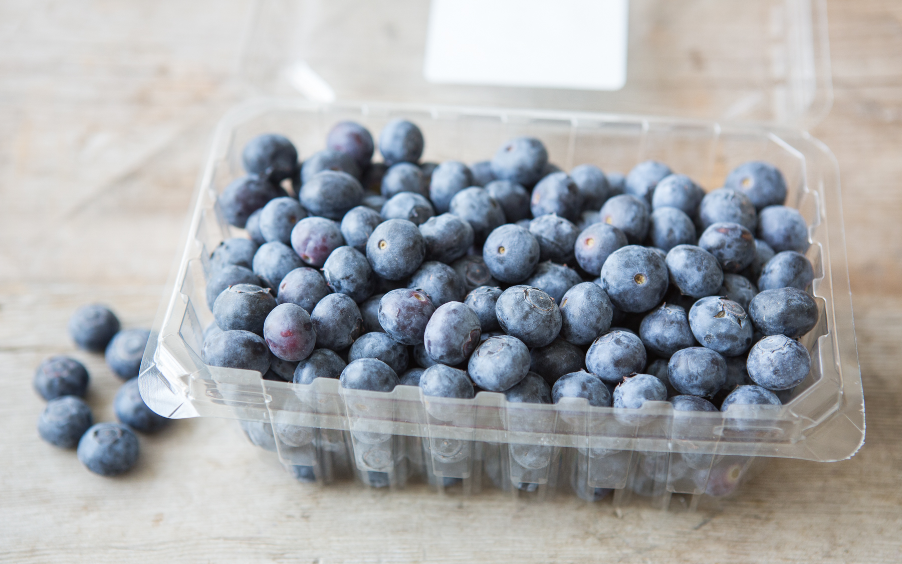 Organic Blueberries | 18 oz | From Our Farmers | Good Eggs
