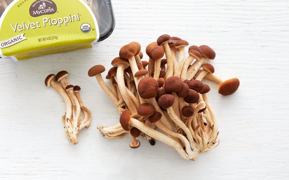 Organic Velvet Pioppini (Black Poplar) Mushrooms | 4 oz | Gourmet ...