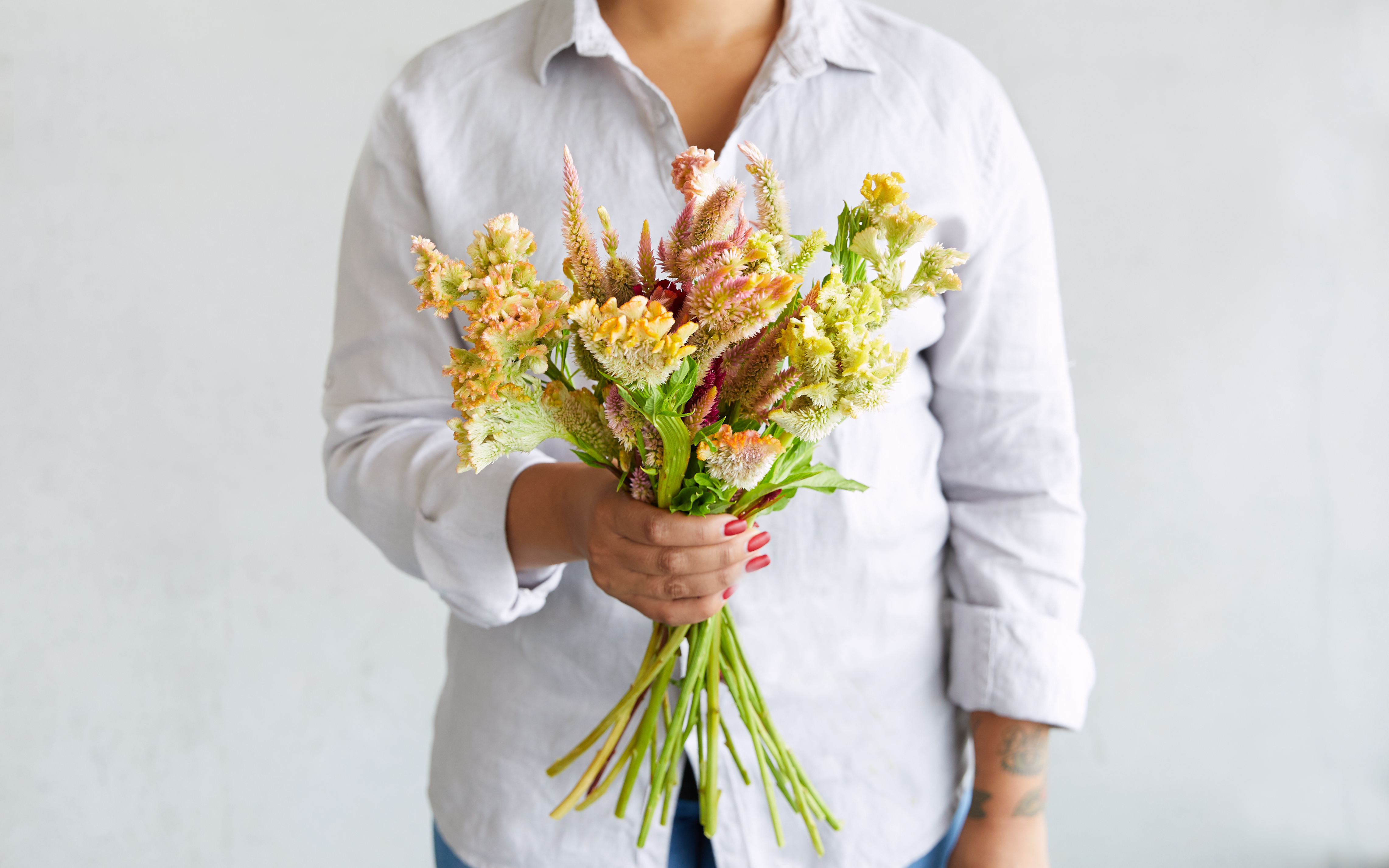 Organic Celosia "Supercrest" | 1 bunch | Bluma Farm | Good Eggs