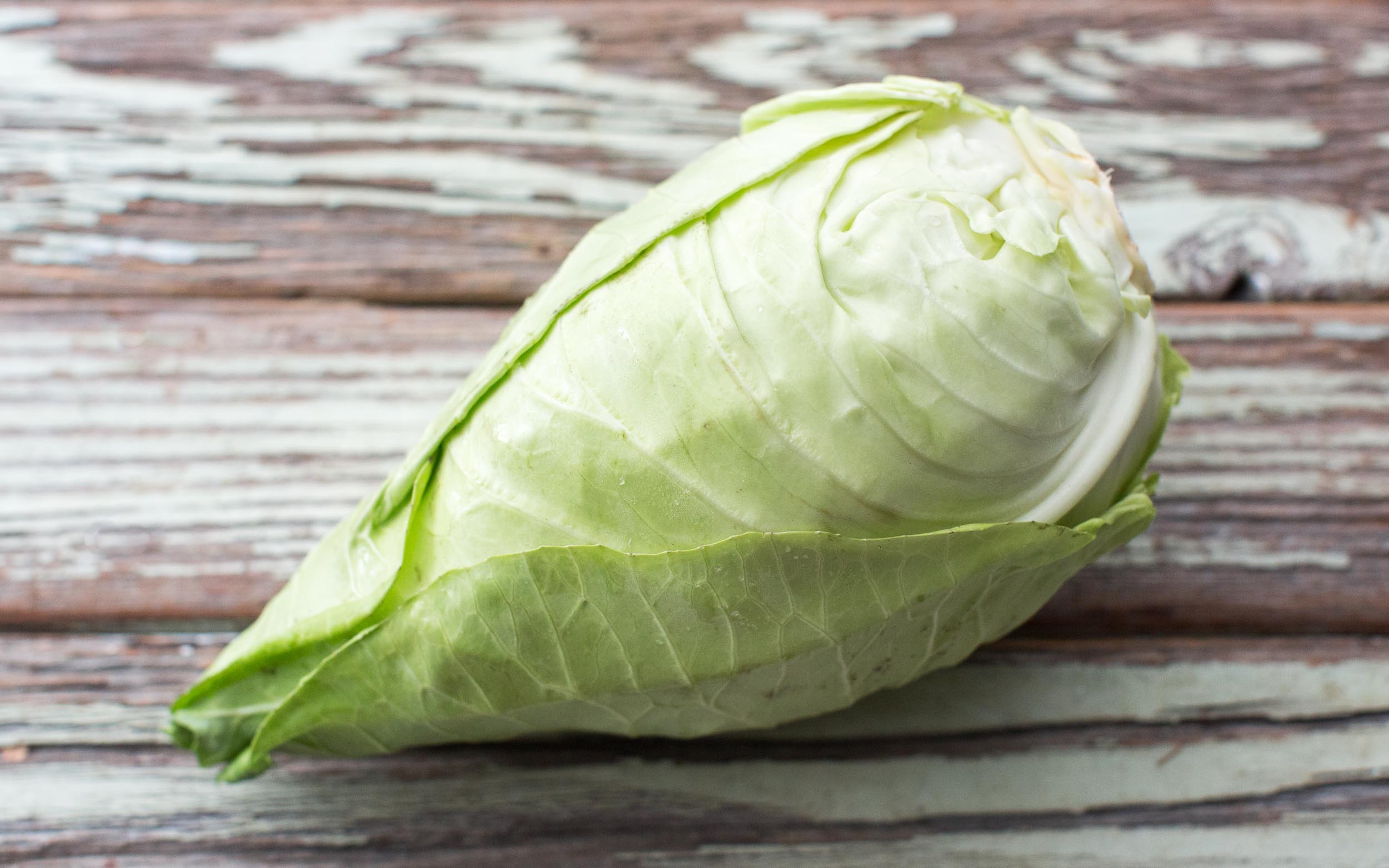 Organic Baby Arrowhead Cabbage | 1 count | Blue House Farm | Good Eggs