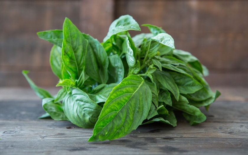 Organic Genovese Basil | 1 bunch | Terra Firma Farm | Good Eggs
