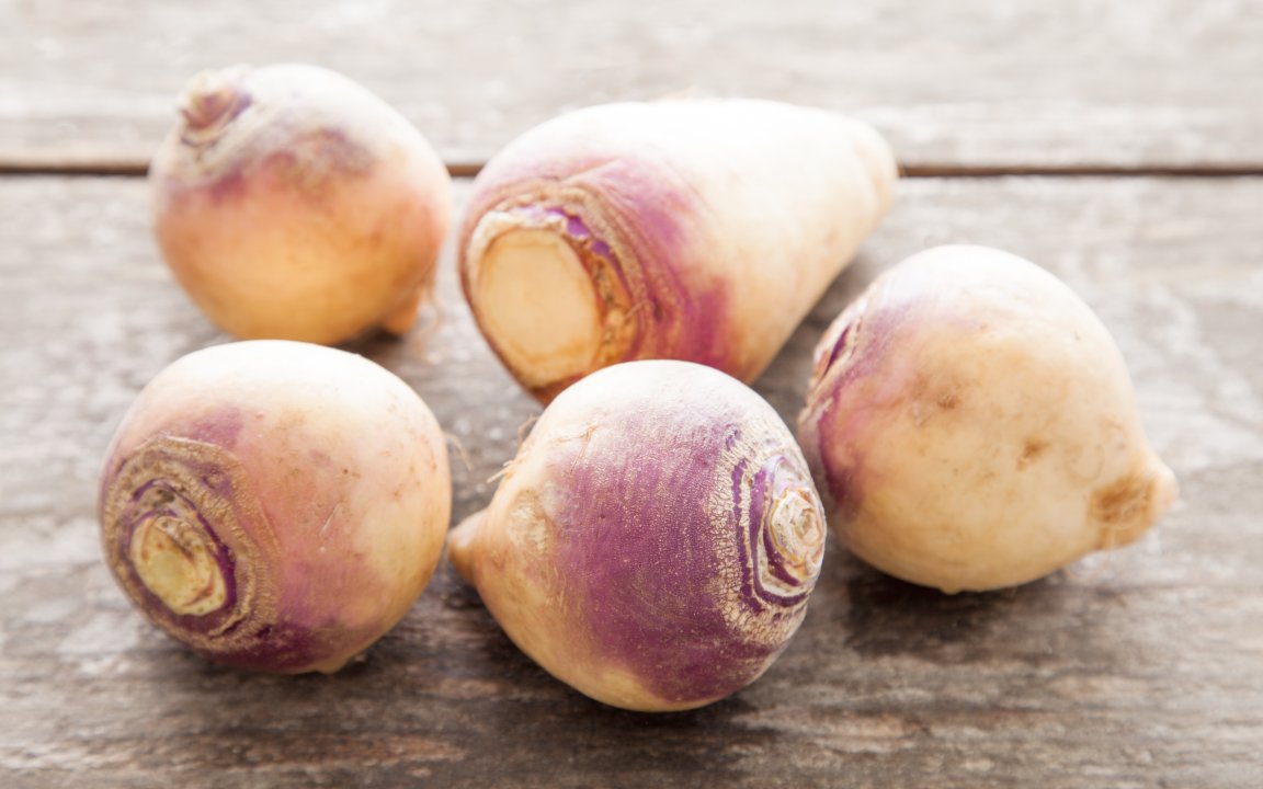 Organic Purple Top Turnips | 1 lb | Lakeside Organic Gardens | Good Eggs