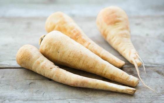 Organic Parsnips | 1 lb | Foster Pinnacle via Veritable Vegetable ...