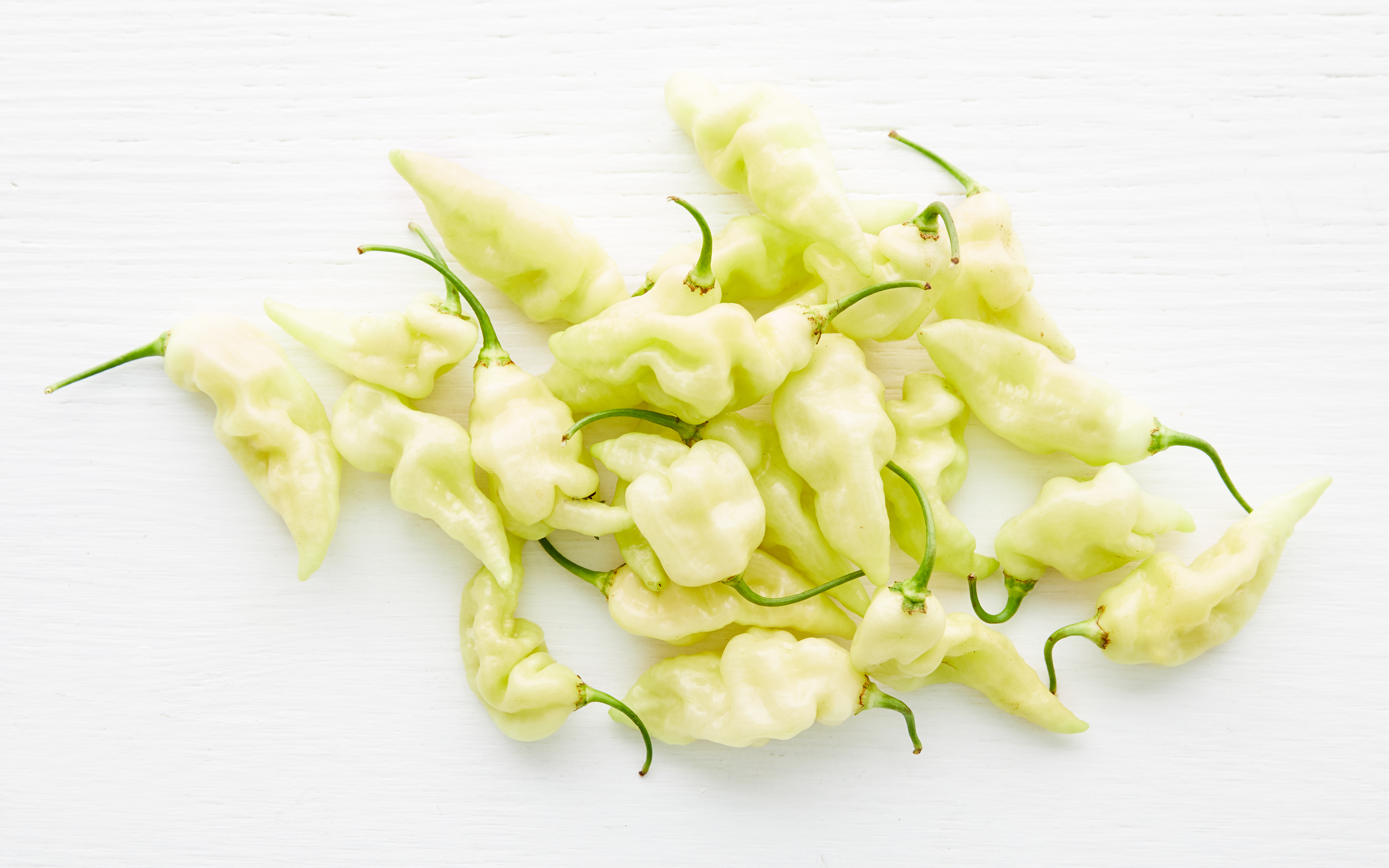 Organic Habanada Peppers | 1 pint | Coke Farms | Good Eggs