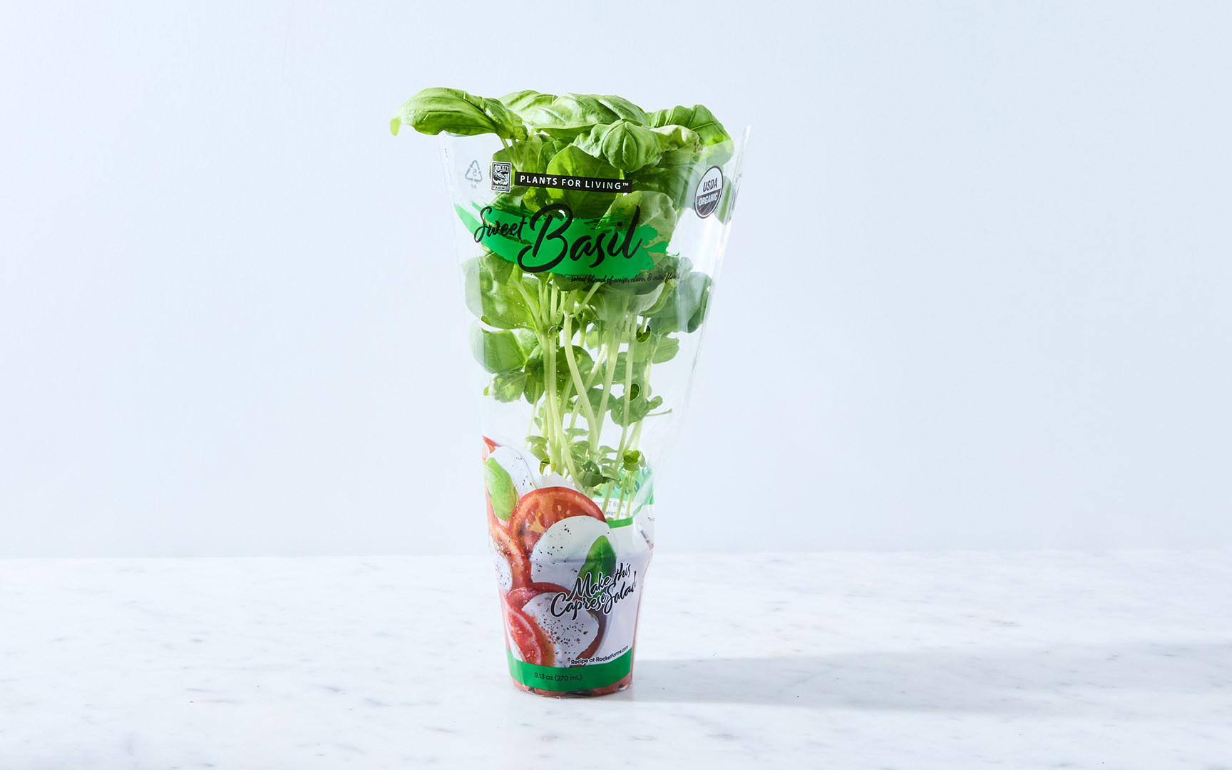 Organic Living Basil Plant | 1 count | Rocket Farms | Good Eggs