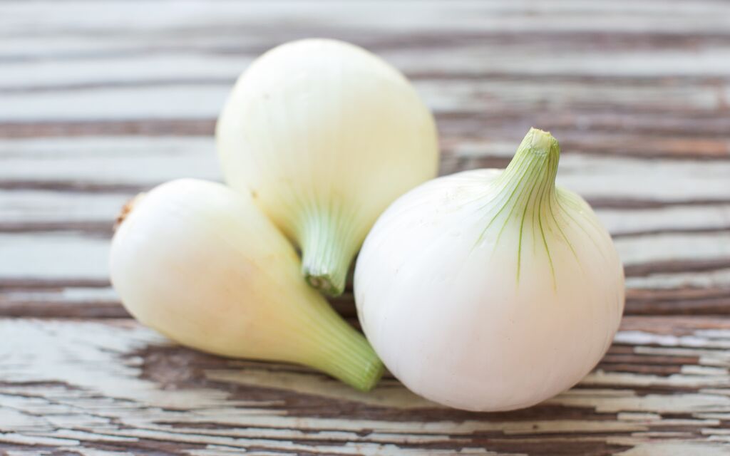 Organic White Onions | 1 lb | Catalán Family Farm | Good Eggs
