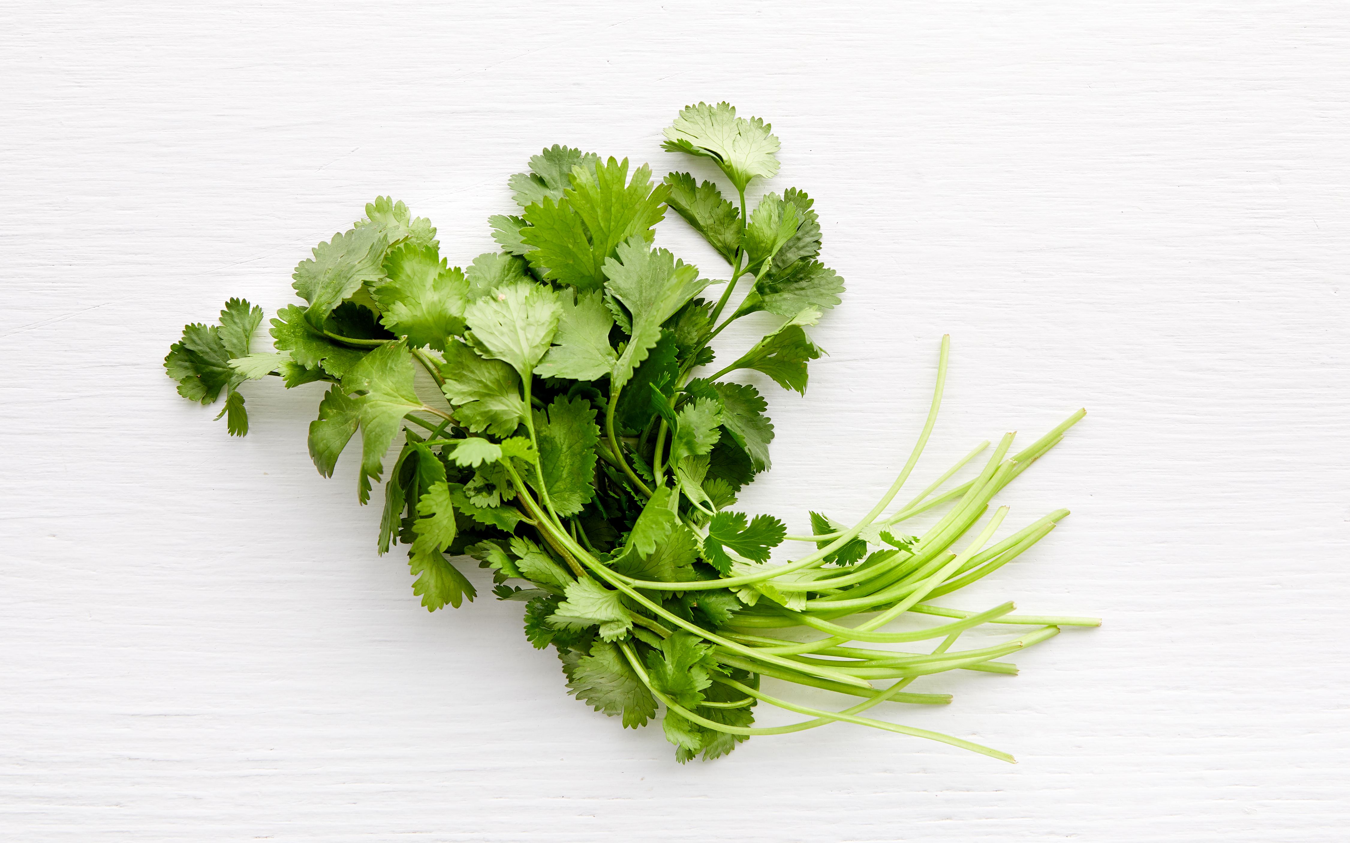 Pinch of Organic Cilantro | 0.25 oz | Jacobs Farm | Good Eggs