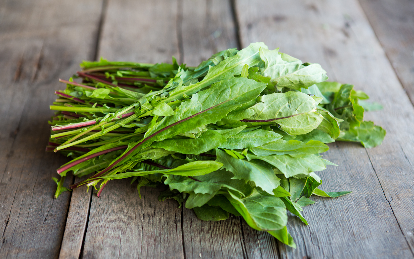 Organic Red-Ribbed Dandelion Greens | 0.5 lb | F.E.E.D. Sonoma | Good Eggs