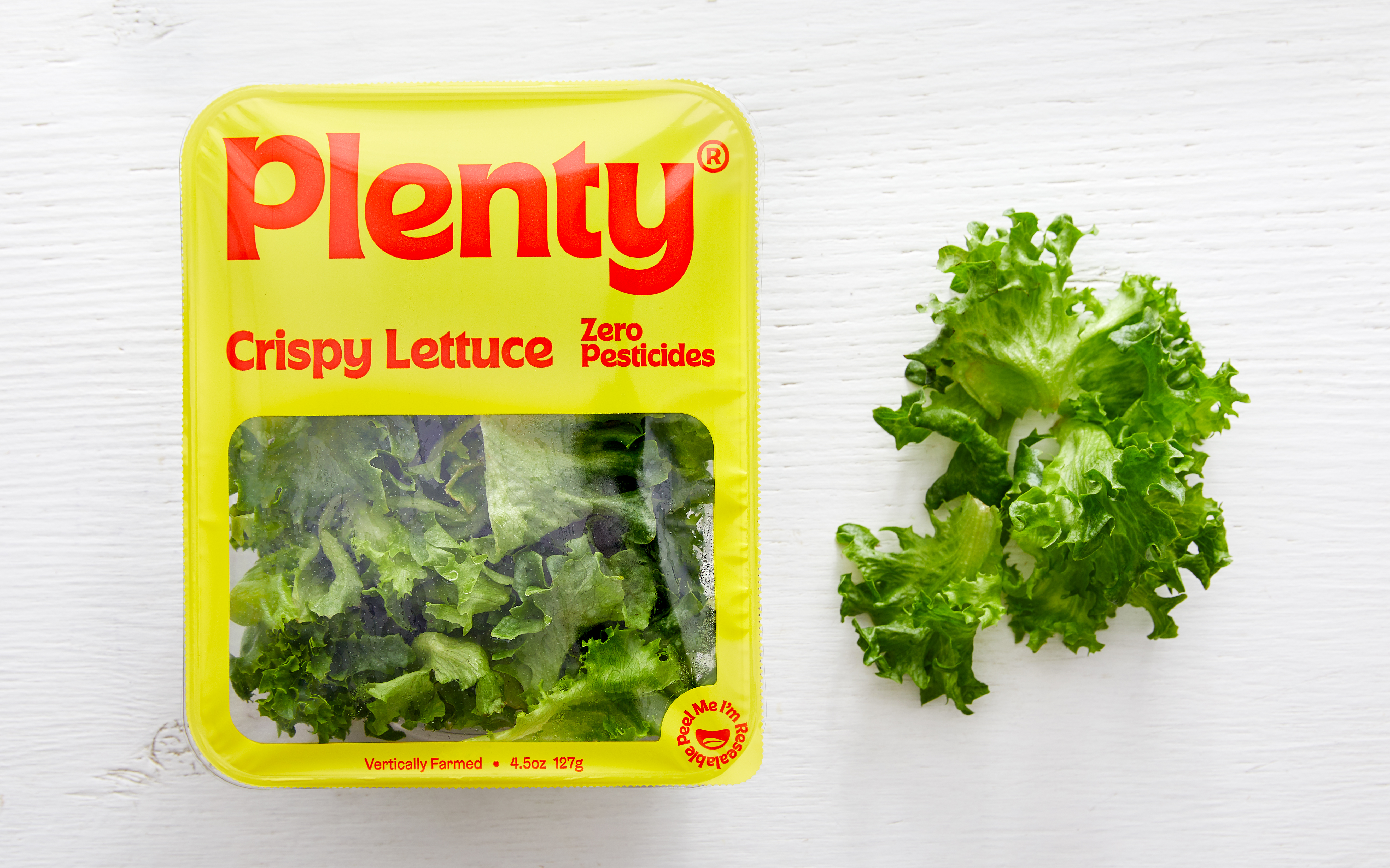 Crispy Lettuce | 4.5 oz | Plenty | Good Eggs