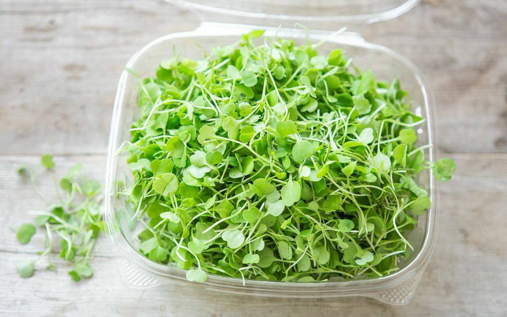 Organic Micro Arugula - New Natives | Good Eggs