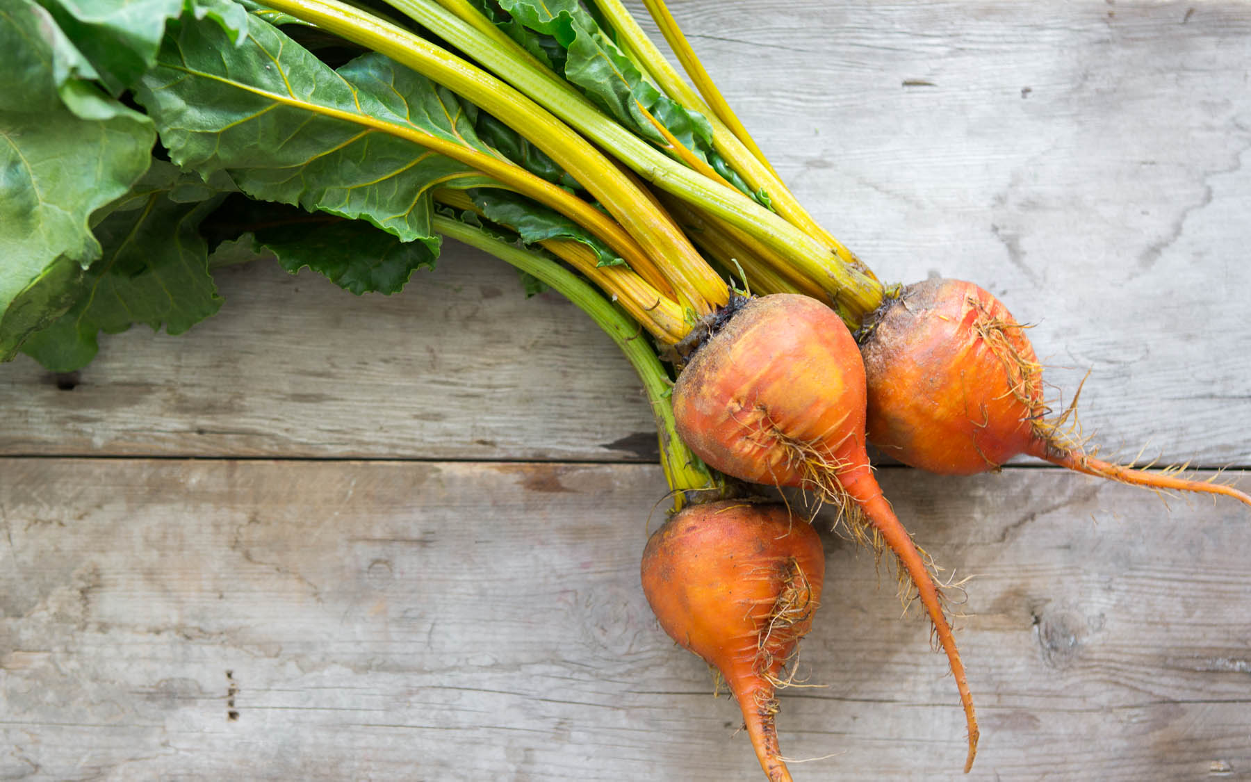 Organic Bunched Small Gold Beets | 1 bunch | Brisa Ranch | Good Eggs