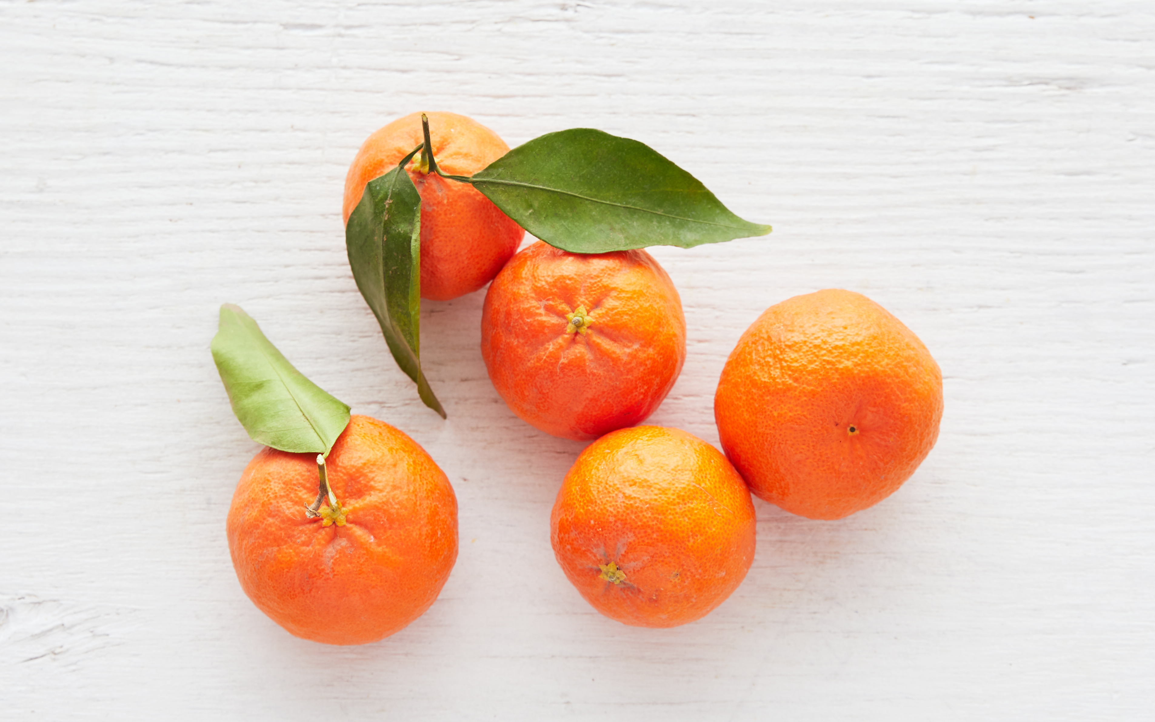 Organic Shasta Gold Mandarins | 1 lb | Deer Creek Heights Ranch | Good Eggs