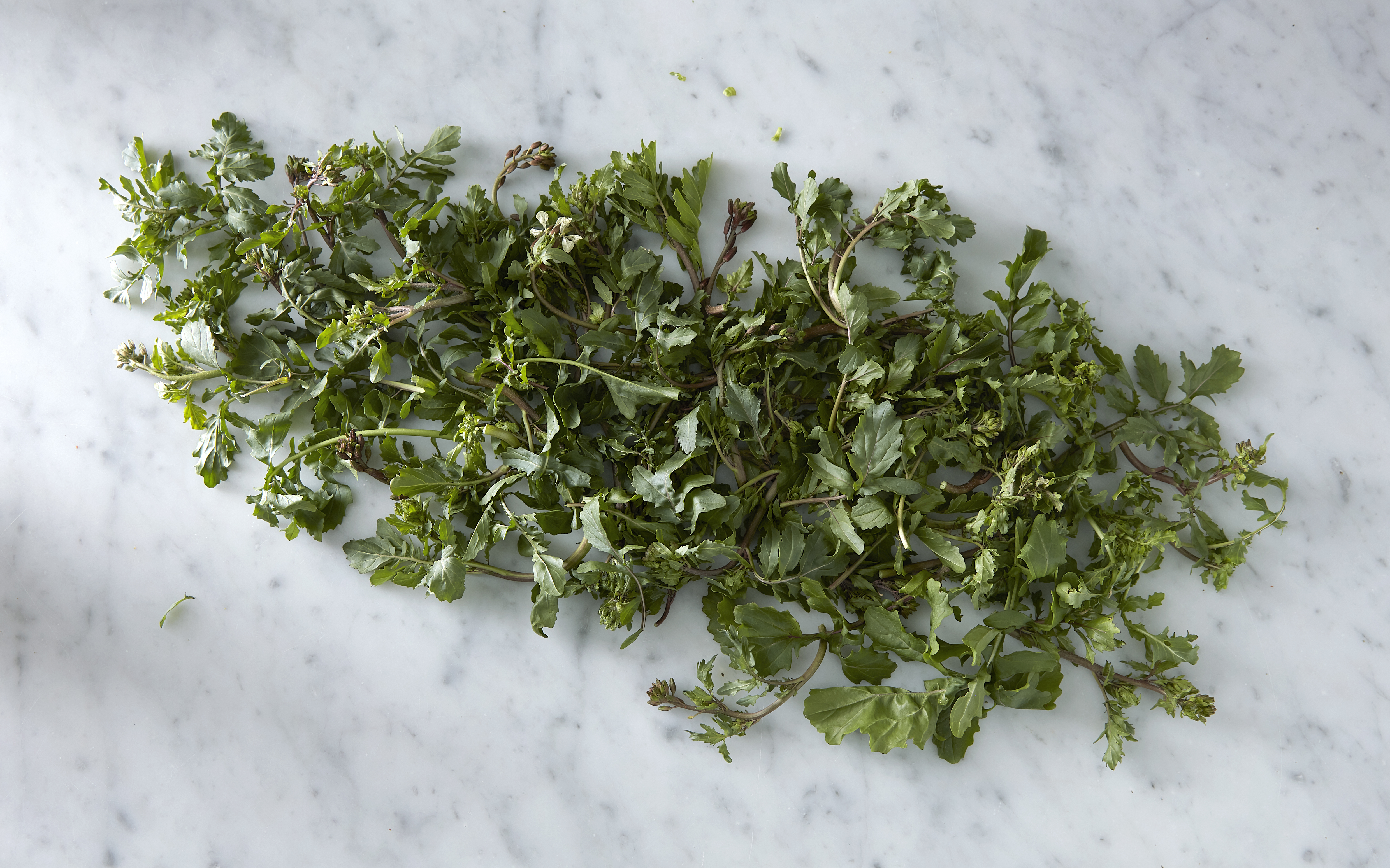 Organic Arugula Rabe | 0.5 lb | Riverdog Farm | Good Eggs