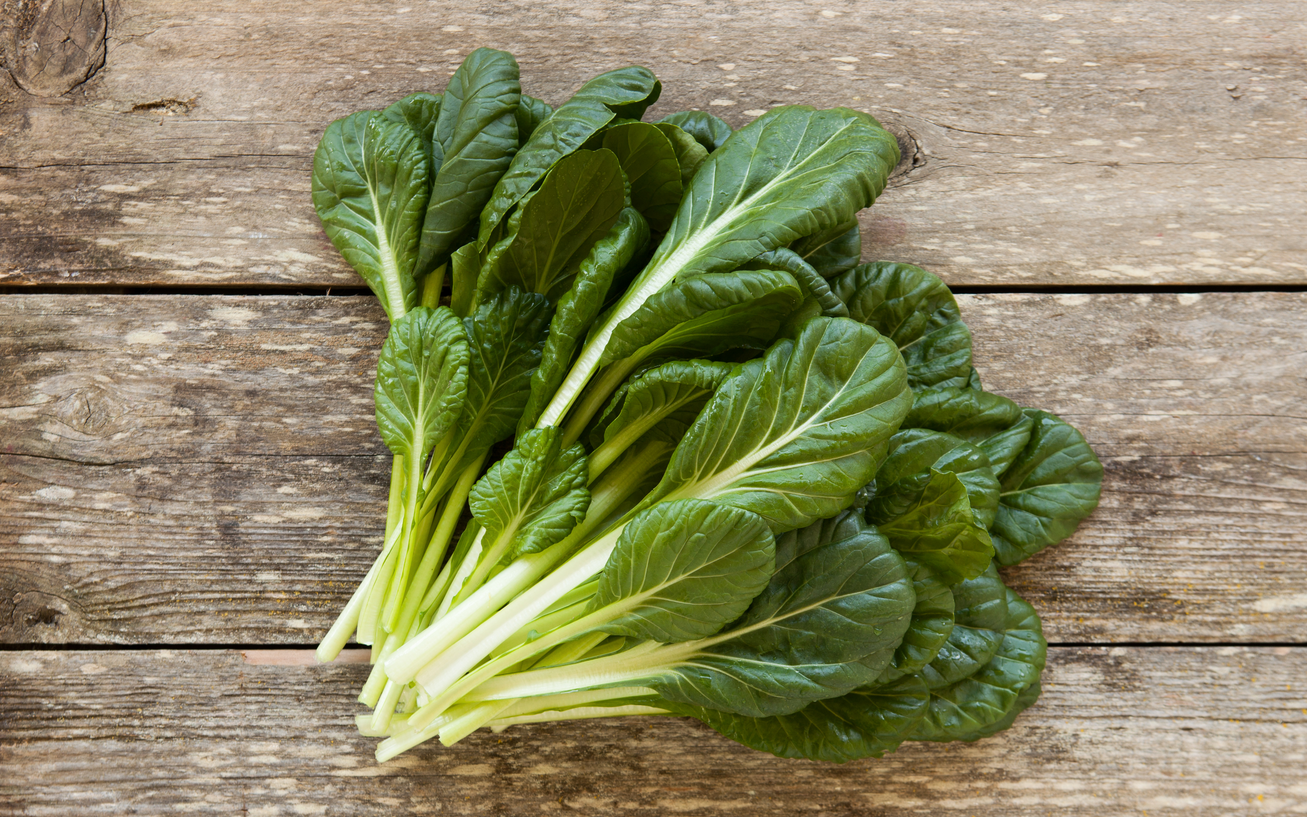 Organic Tatsoi | 1 bunch | County Line Harvest | Good Eggs