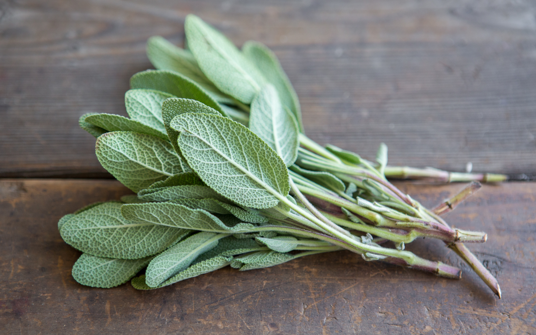 Organic Sage | 1 bunch | Say Hay Farms | Good Eggs