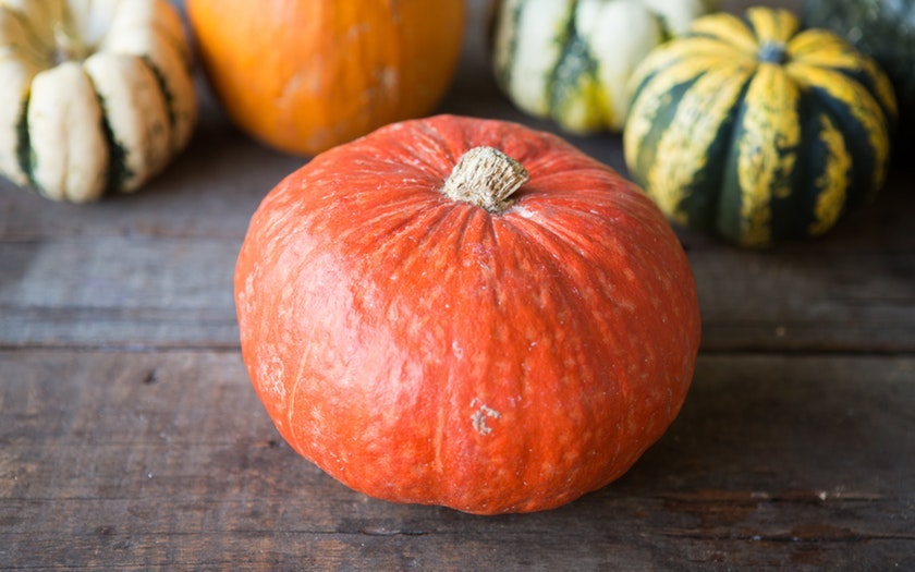 Organic Orange Kabocha Squash | 4 lb | F.E.E.D. Sonoma | Good Eggs