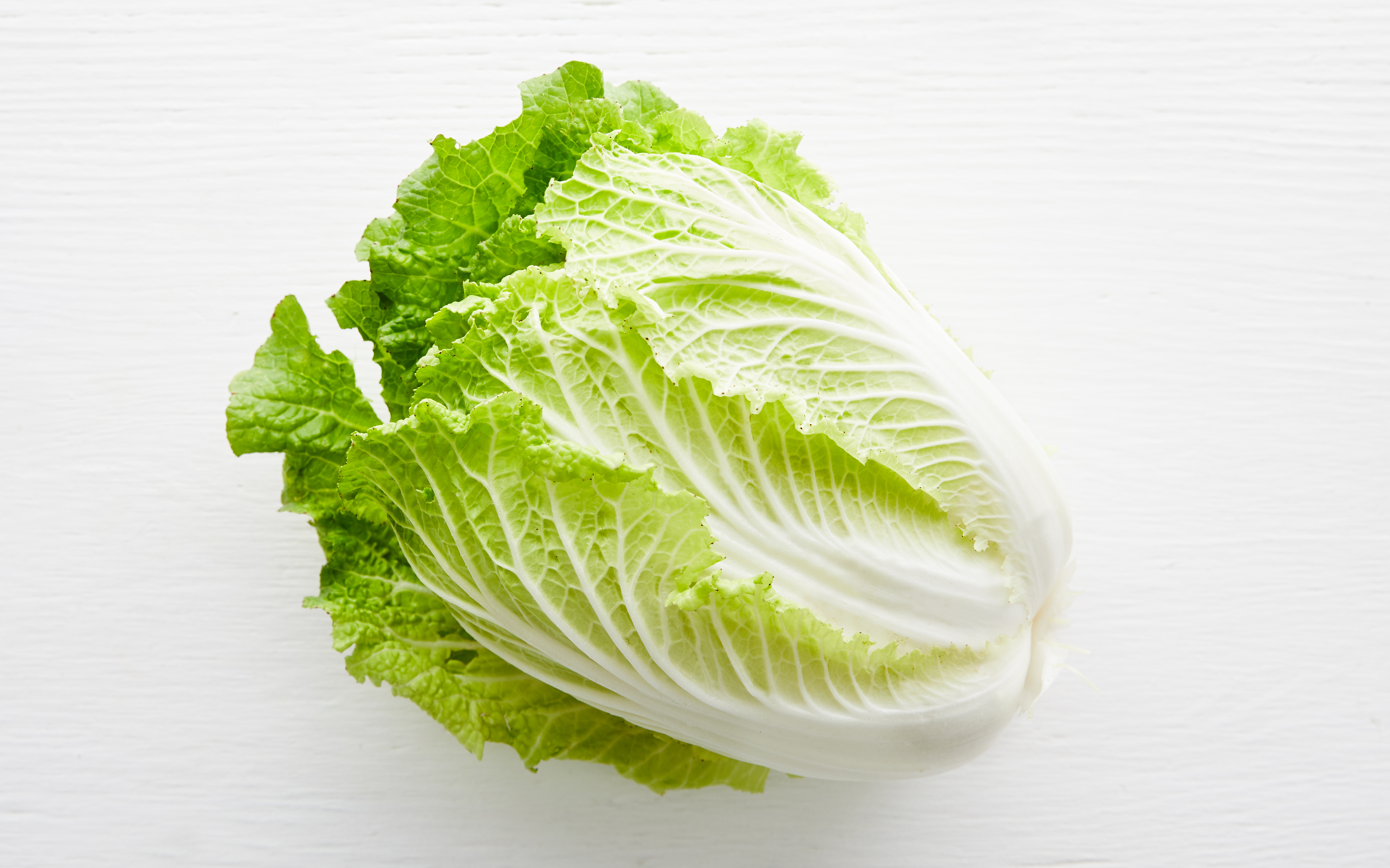 Organic Napa Cabbage | 1 count | Riverdog Farm | Good Eggs