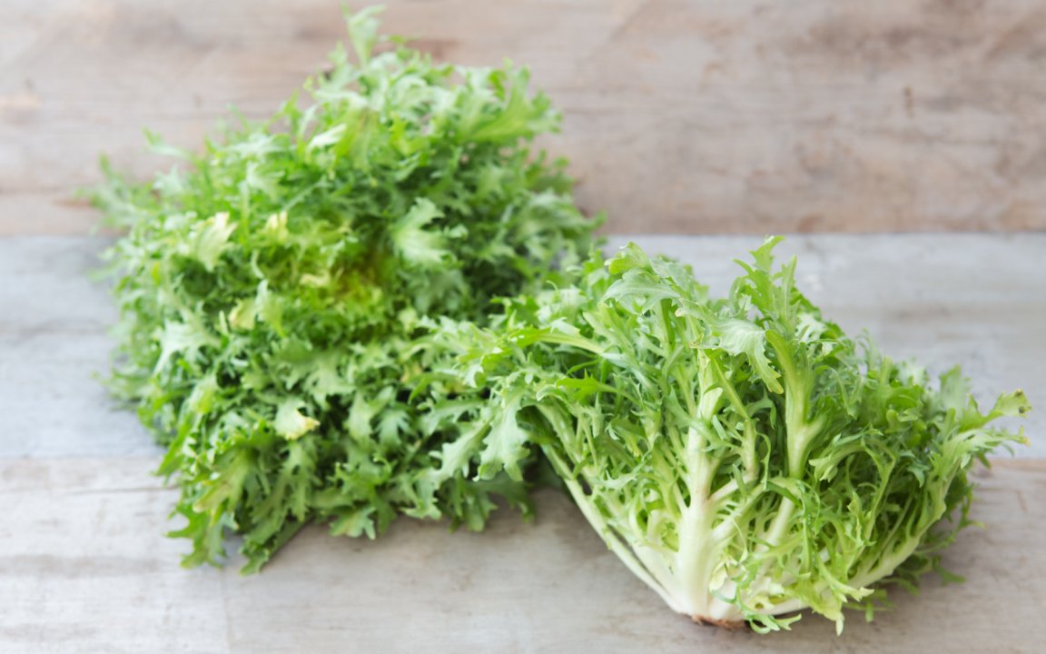 Organic Frisee | 0.5 lb | F.E.E.D. Sonoma | Good Eggs