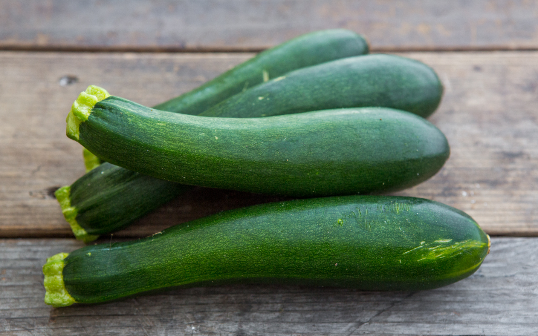 Organic Dunja Zucchini | 1 lb | Say Hay Farms | Good Eggs