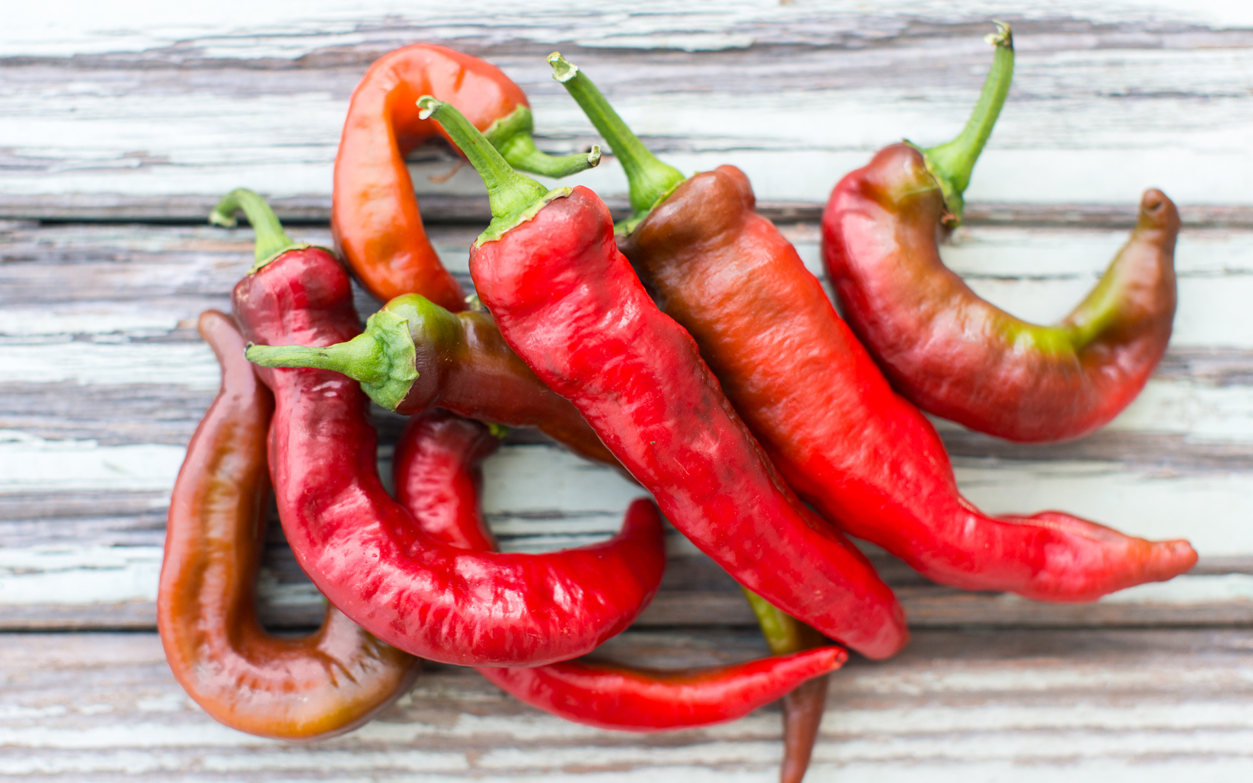 Organic Jimmy Nardello Sweet Italian Frying Peppers | 0.5 lb ...