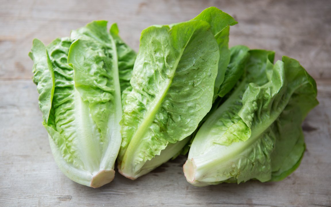 Organic Baby Romaine Lettuce Trio | 3 count | Coke Farms | Good Eggs