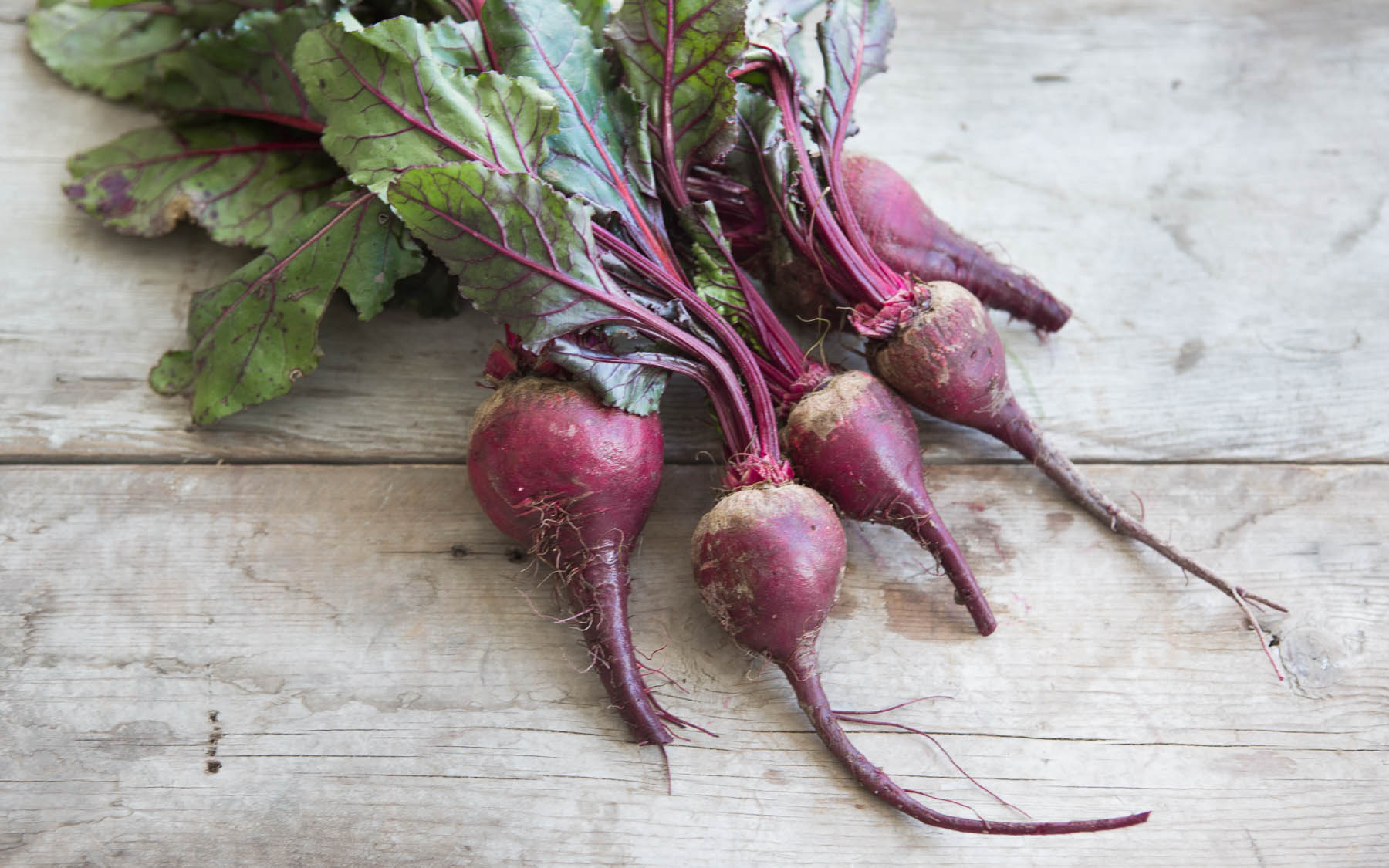Organic Bunched Red Beets | 1 bunch | Riverdog Farm | Good Eggs