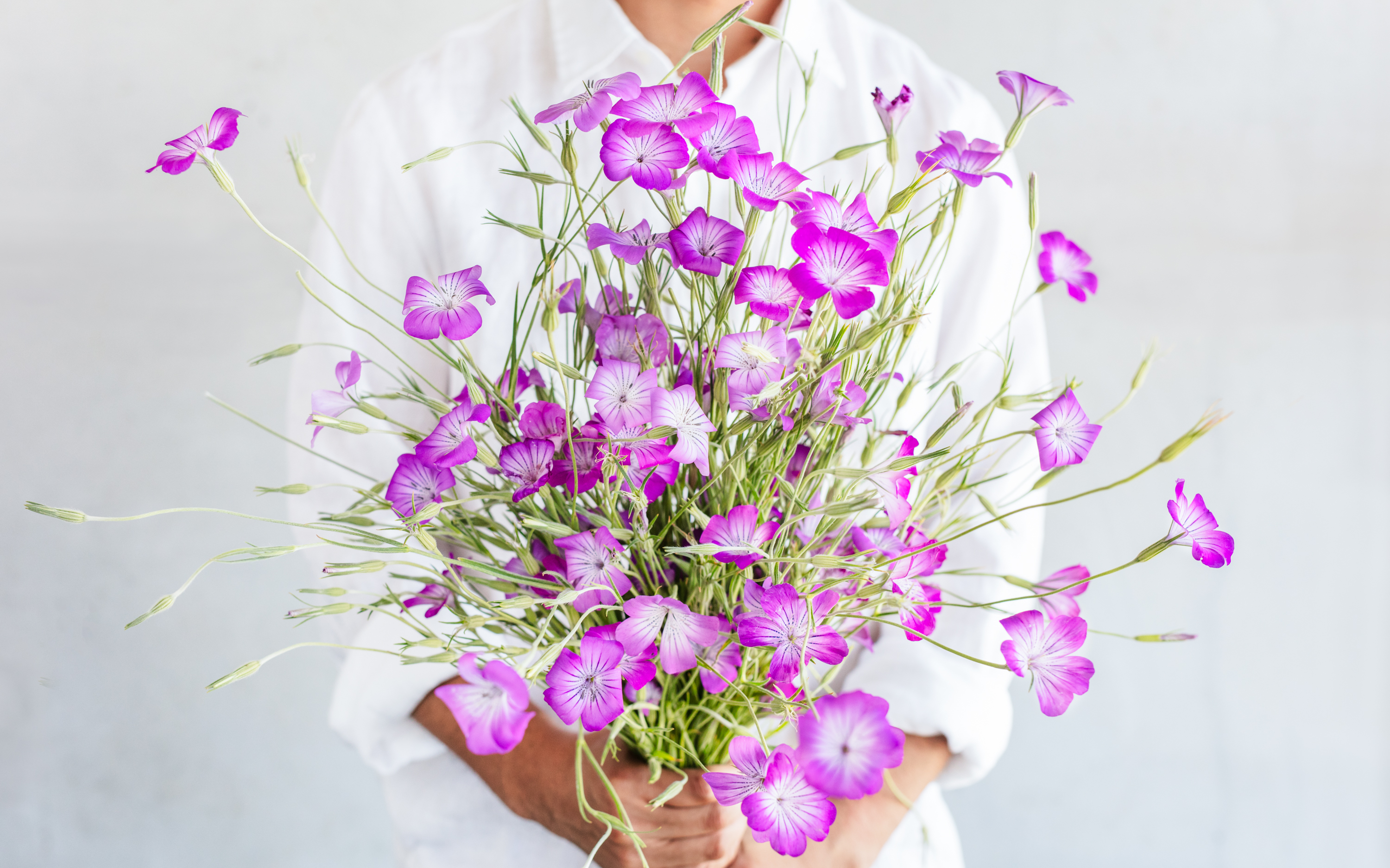 Organic Agrostemma | 1 bunch | Blue House Farm | Good Eggs