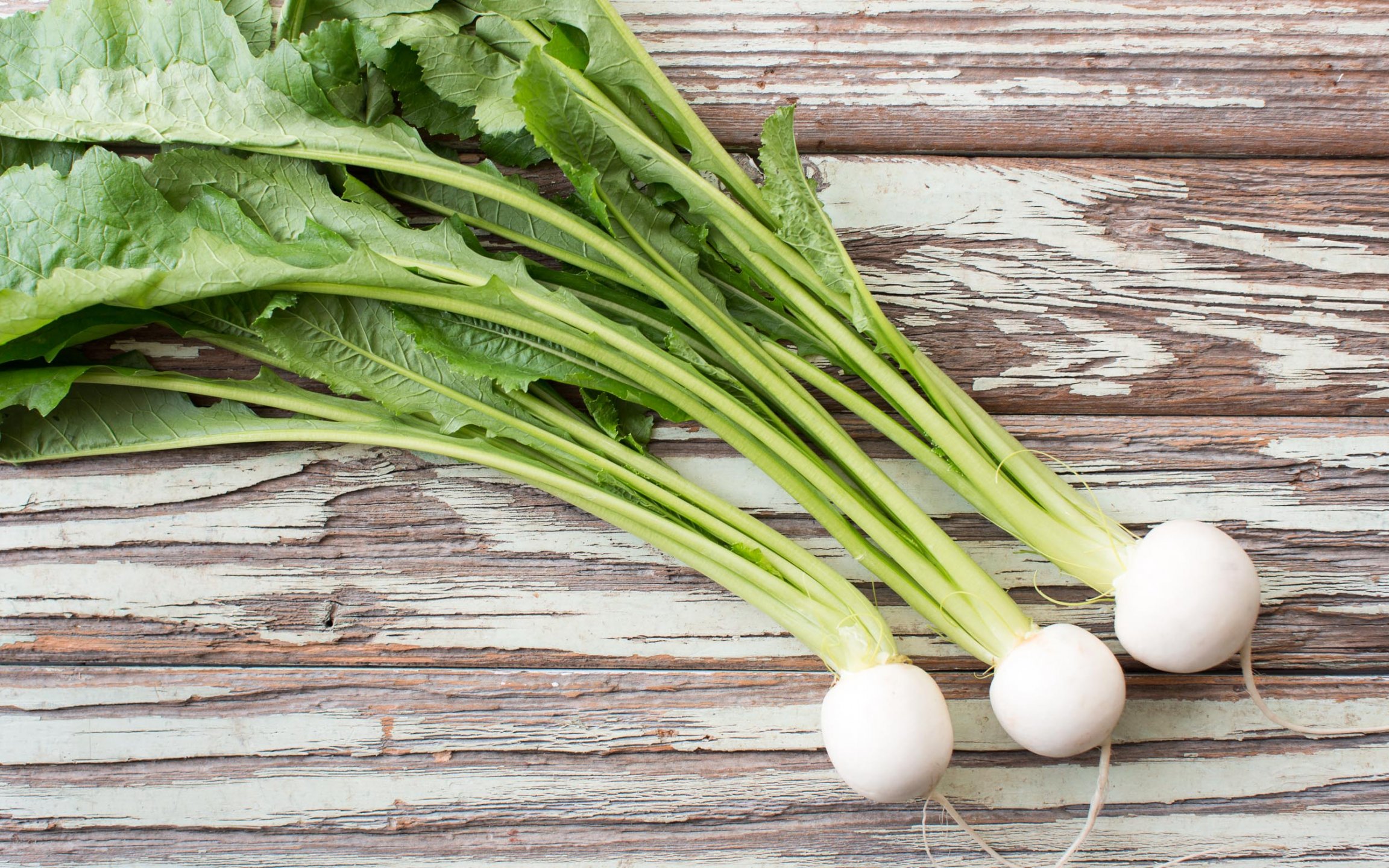 Organic Baby White Turnips | 1 bunch | Coke Farms | Good Eggs