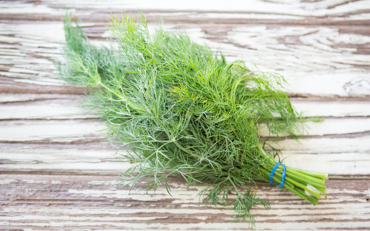 Organic Fresh Dill | 1 bunch | Jacobs Farm | Good Eggs