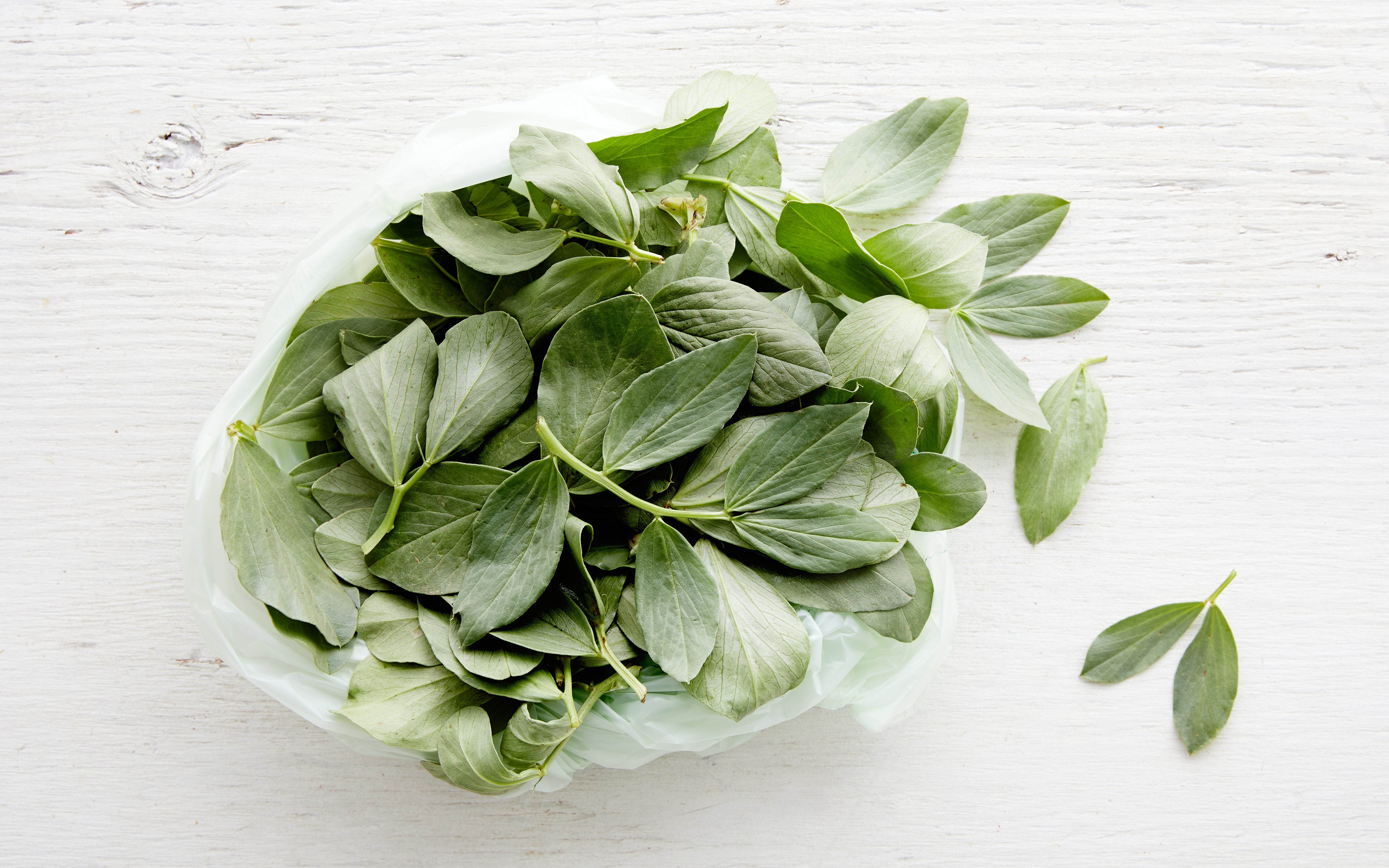 Organic Fava Greens | 0.25 lb | Happy Boy Farms | Good Eggs