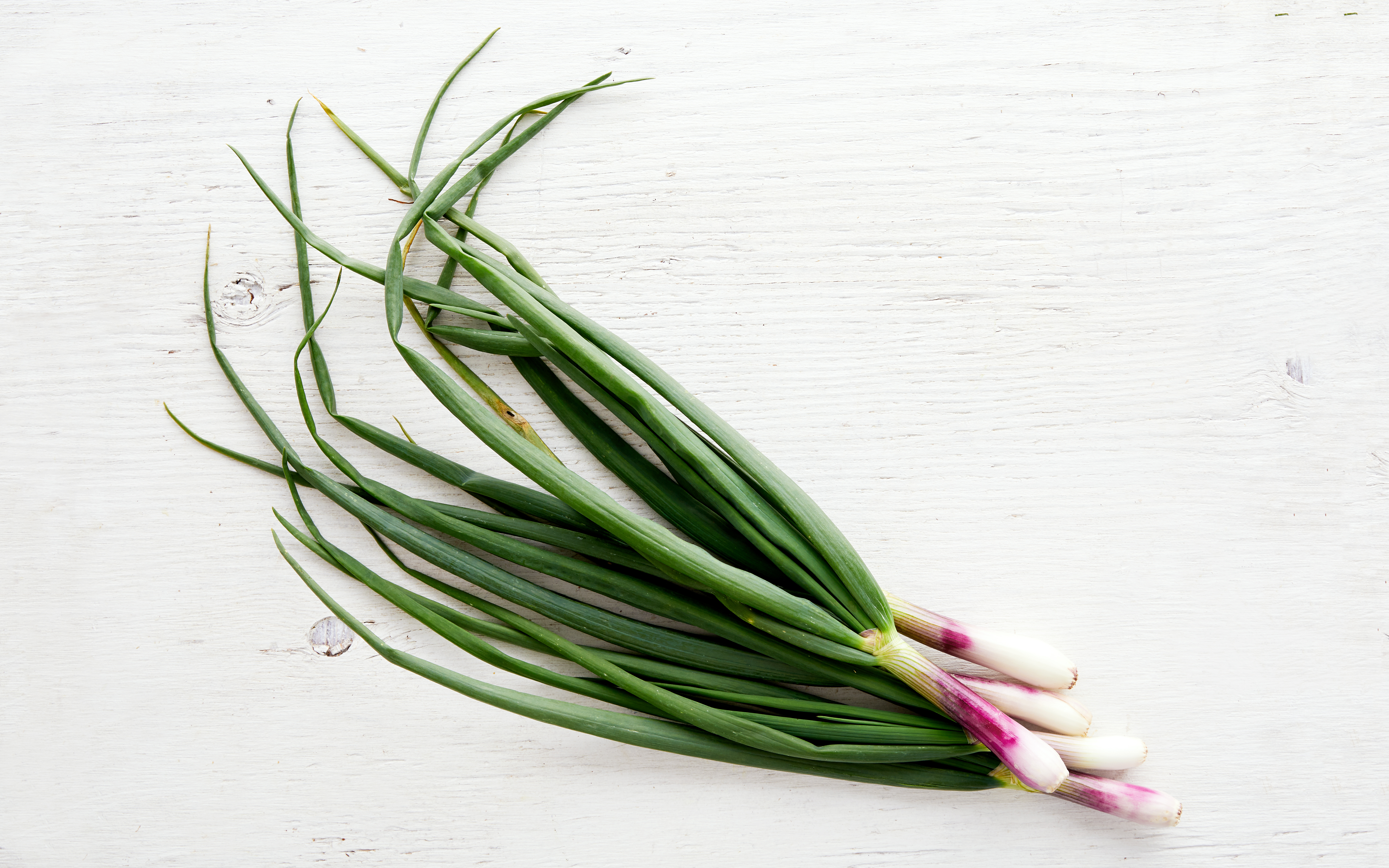 Organic Bunched Red Spring Onions | 1 bunch | Eatwell Farm | Good Eggs