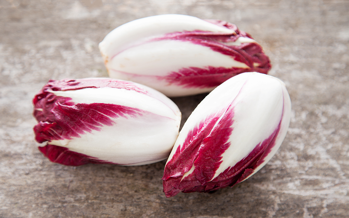 Red Belgian Endive