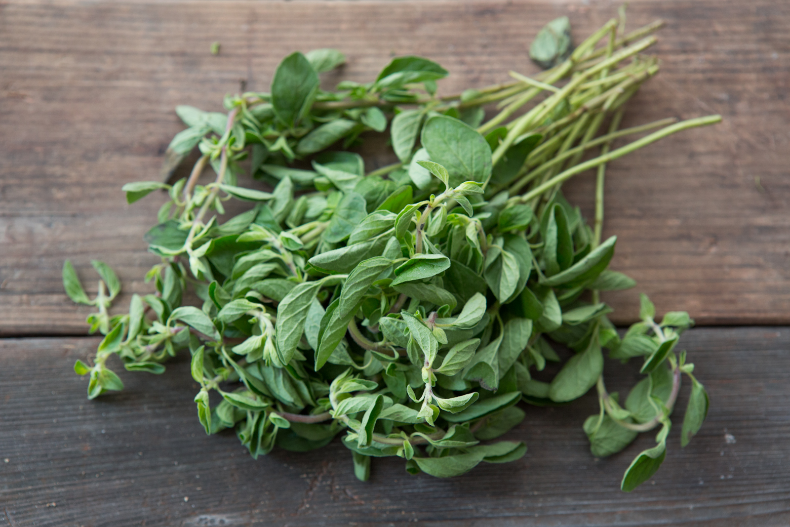 Organic Oregano | 1 bunch | Happy Boy Farms | Good Eggs
